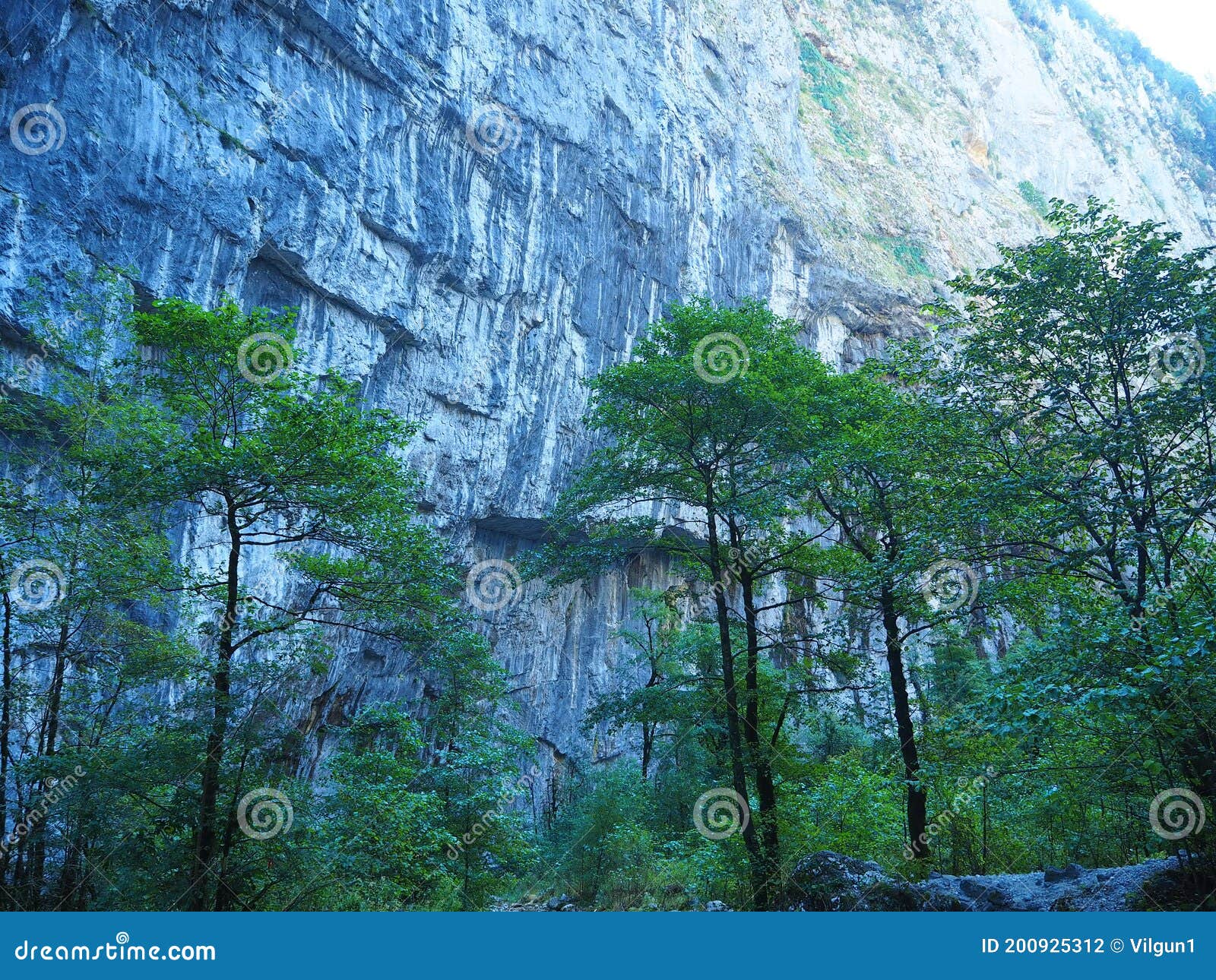Mountain Gorge in the Mountains of Abkhazia. a Deep Gorge in the ...