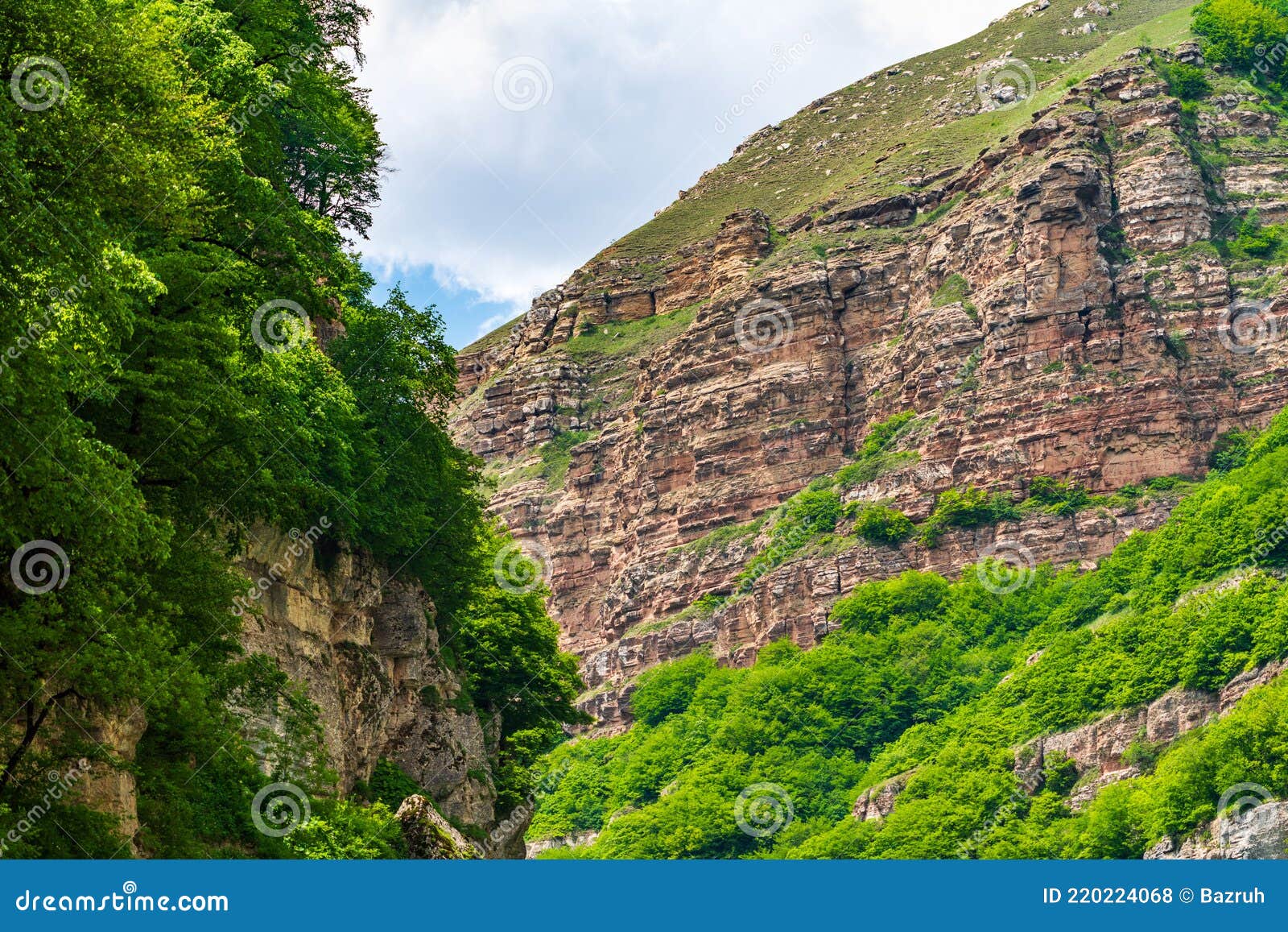 Mountain Gorge with Steep Slopes Overgrown with Forest Stock Photo ...