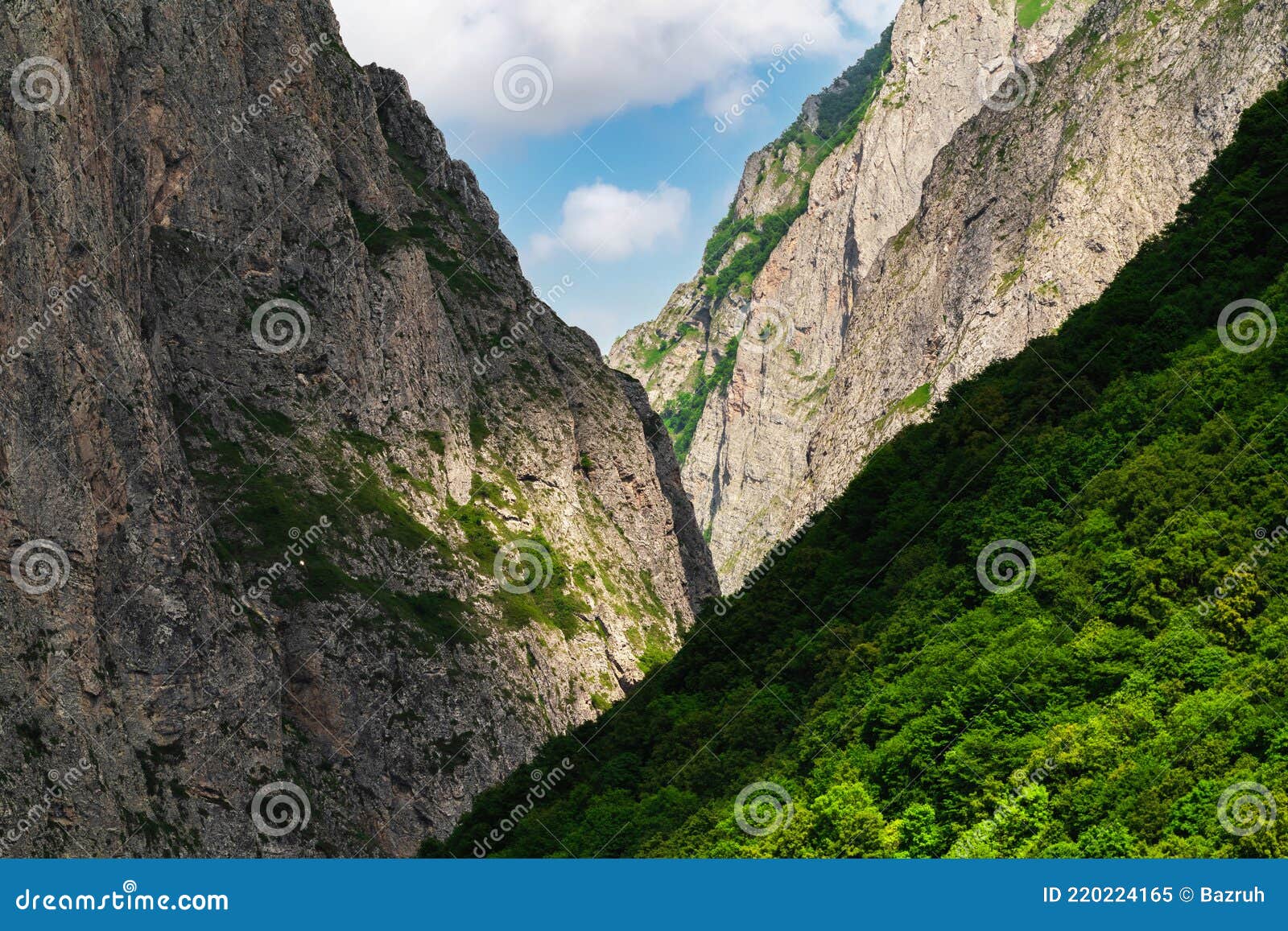 Mountain Gorge with Steep Slopes Overgrown with Forest Stock Image ...
