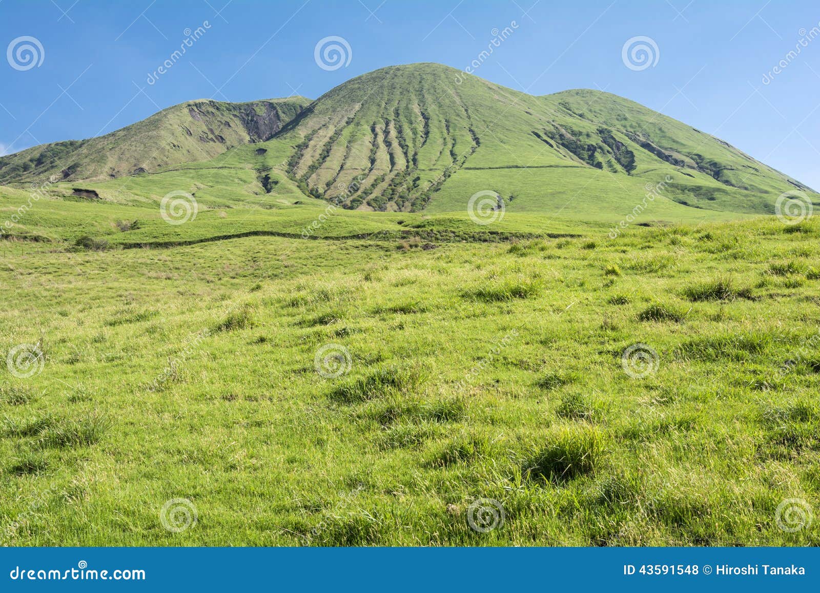 Mountain and grassy plain stock photo. Image of japan - 43591548