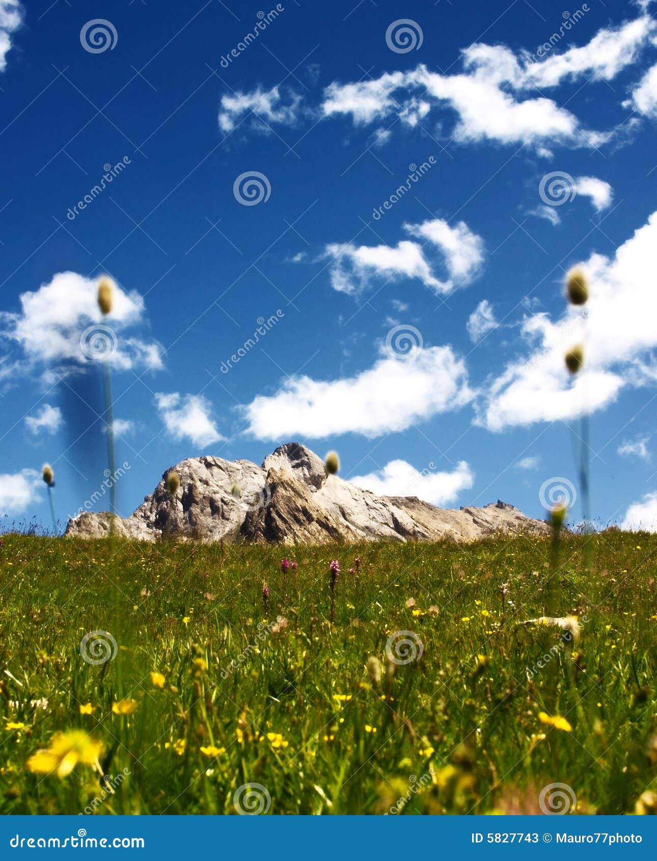 Mountain green fields stock image. Image of mountains - 5827743