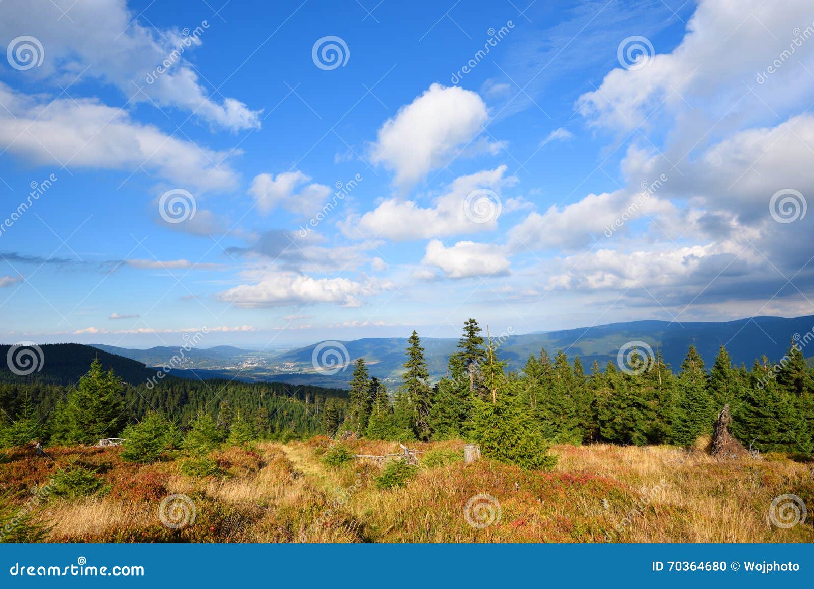Mountain Green Spruce Forest Under White Clouds Stock Photo - Image of ...