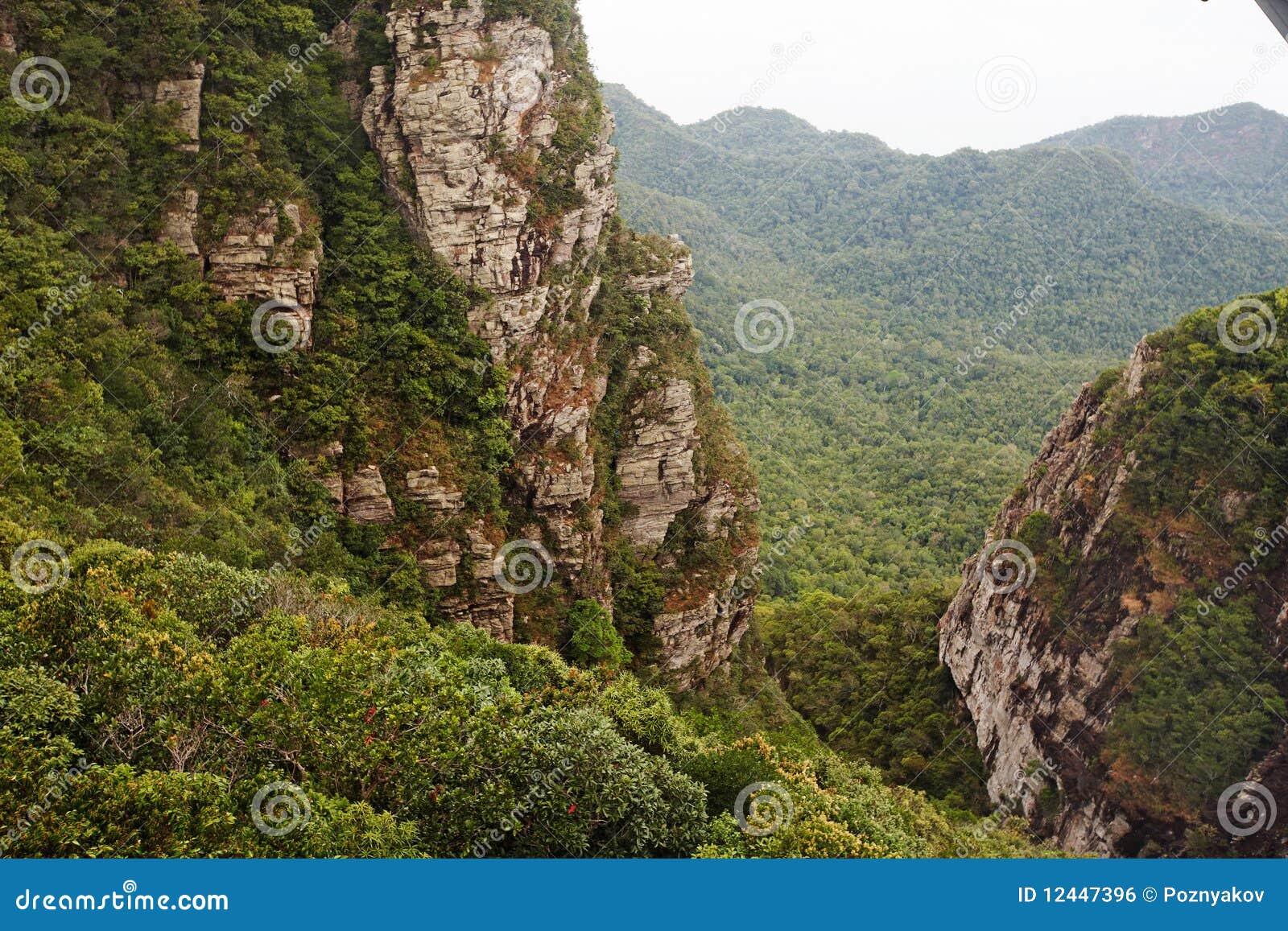 Mountain in Green Tree. Summer Landscap. Stock Photo - Image of peak ...