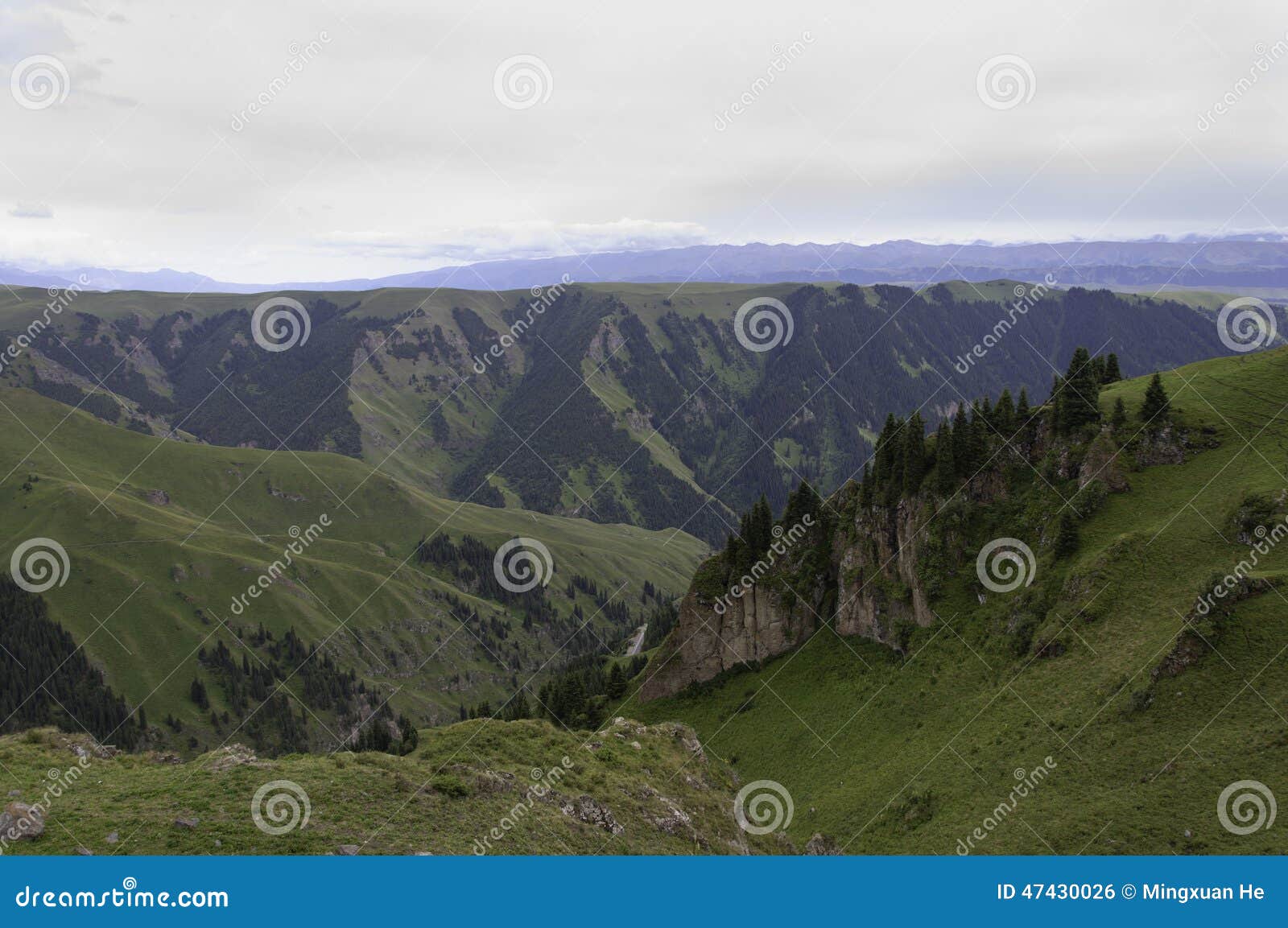 Mountain stock photo. Image of tree, grassland, cloud - 47430026