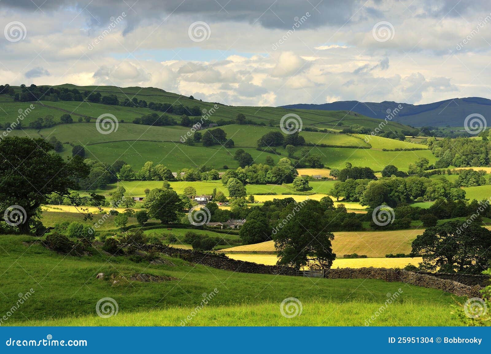 Mountain Hay Fields, Cumbria Stock Photo - Image of green, lake: 25951304