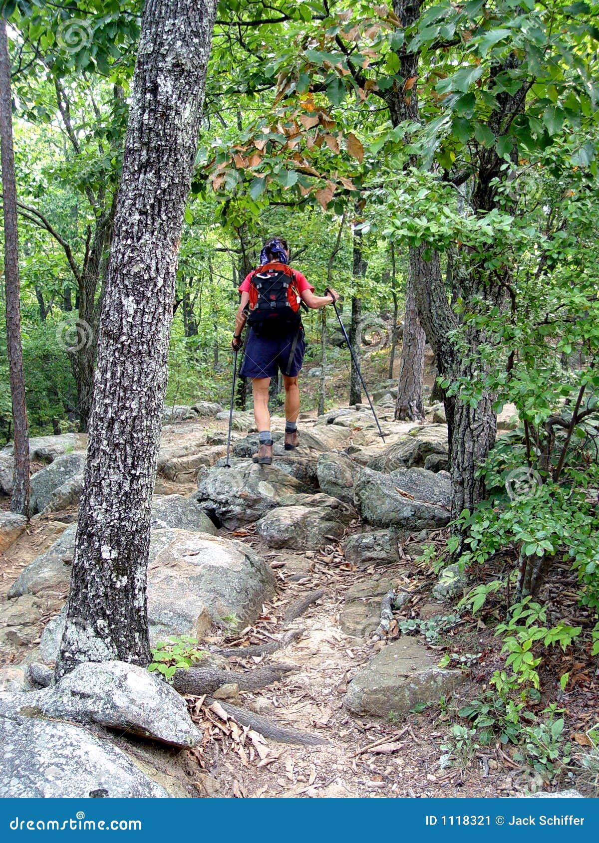 Mountain Hiker stock image. Image of freedom, person, scenic - 1118321