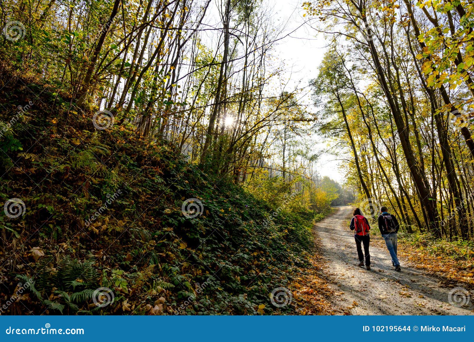 Mountain Hikers in the Fall Season Editorial Stock Image - Image of ...