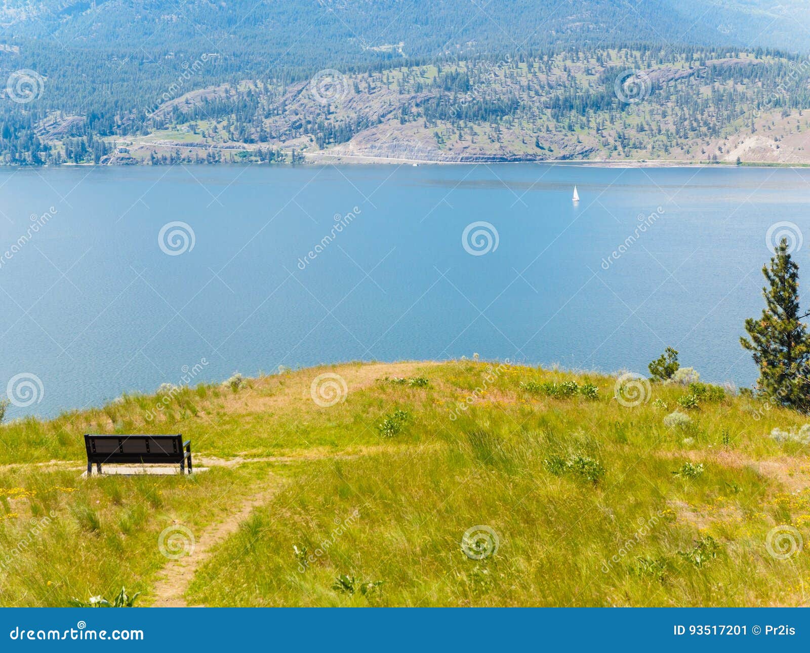 Mountain Hiking Trail with Bench Overlooking the Lake Stock Image ...