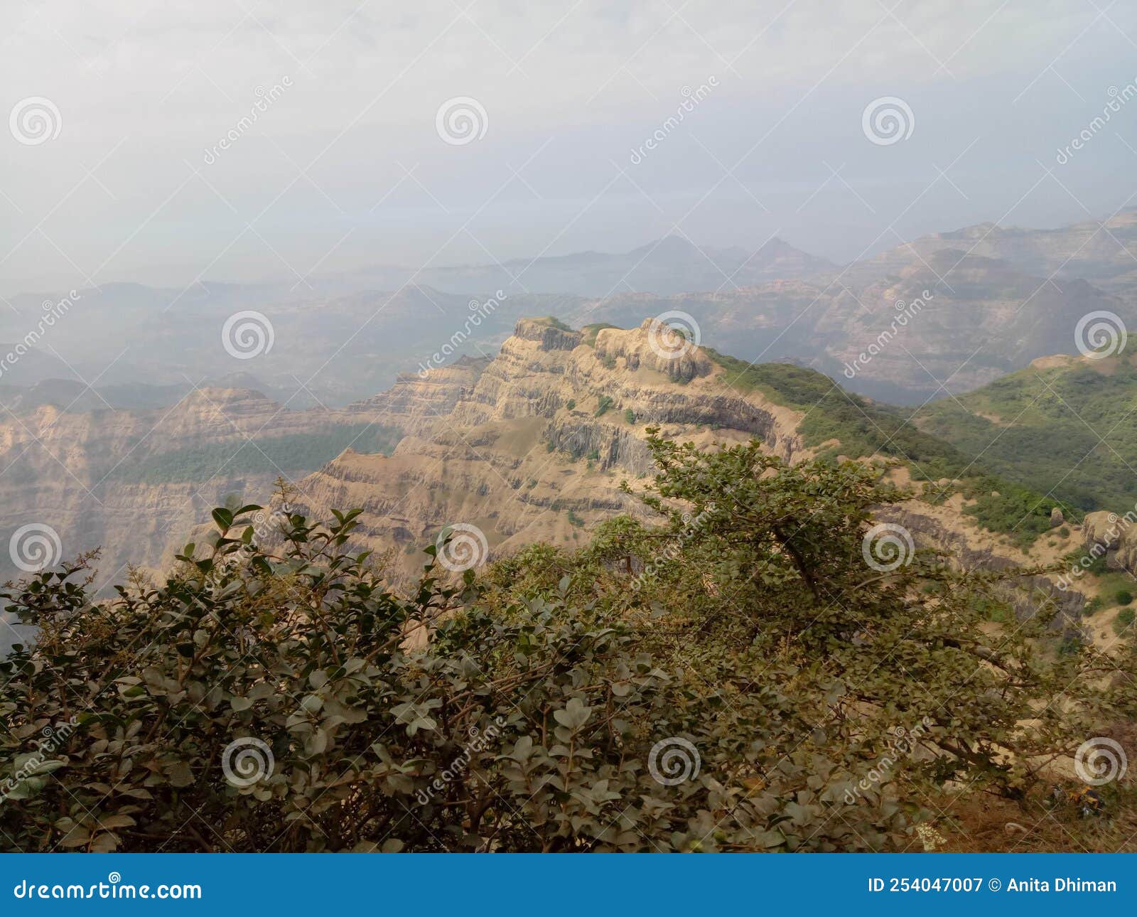 Hill top view stock image. Image of tree, geology, forest - 254047007