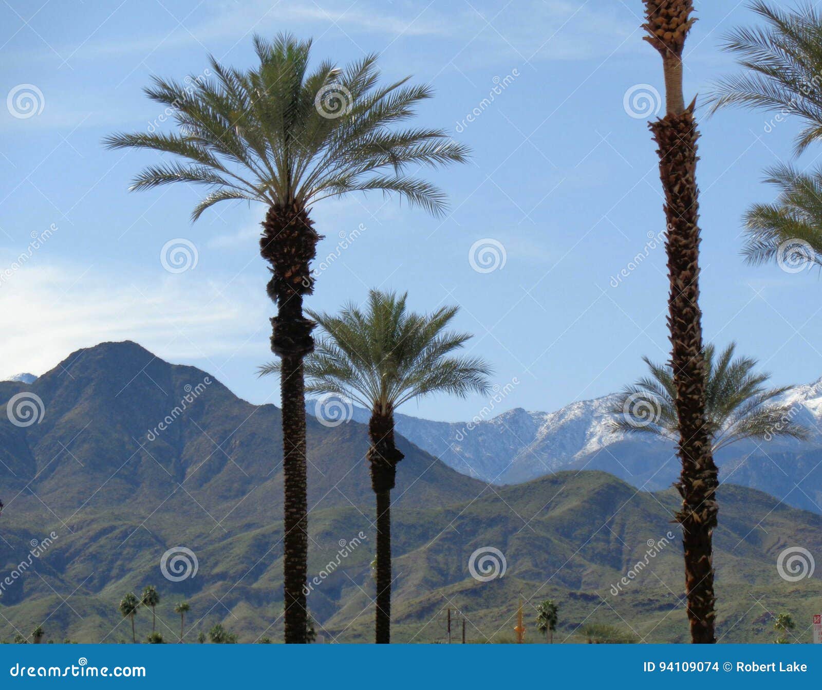 Mountain, Hills & Palm Trees Stock Photo - Image of trees, palm: 94109074