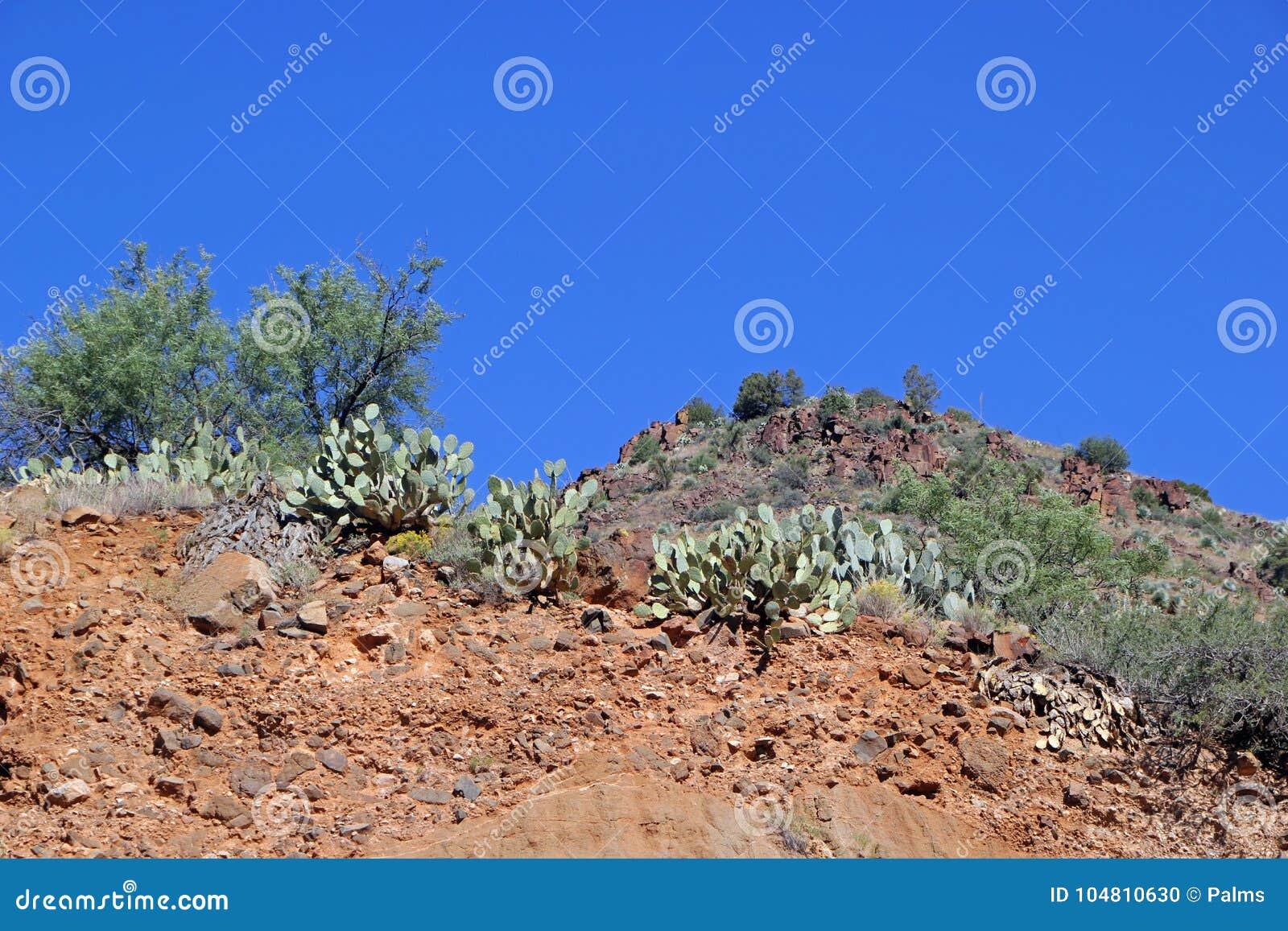 Mountain Hillside stock photo. Image of landscape, peak - 104810630