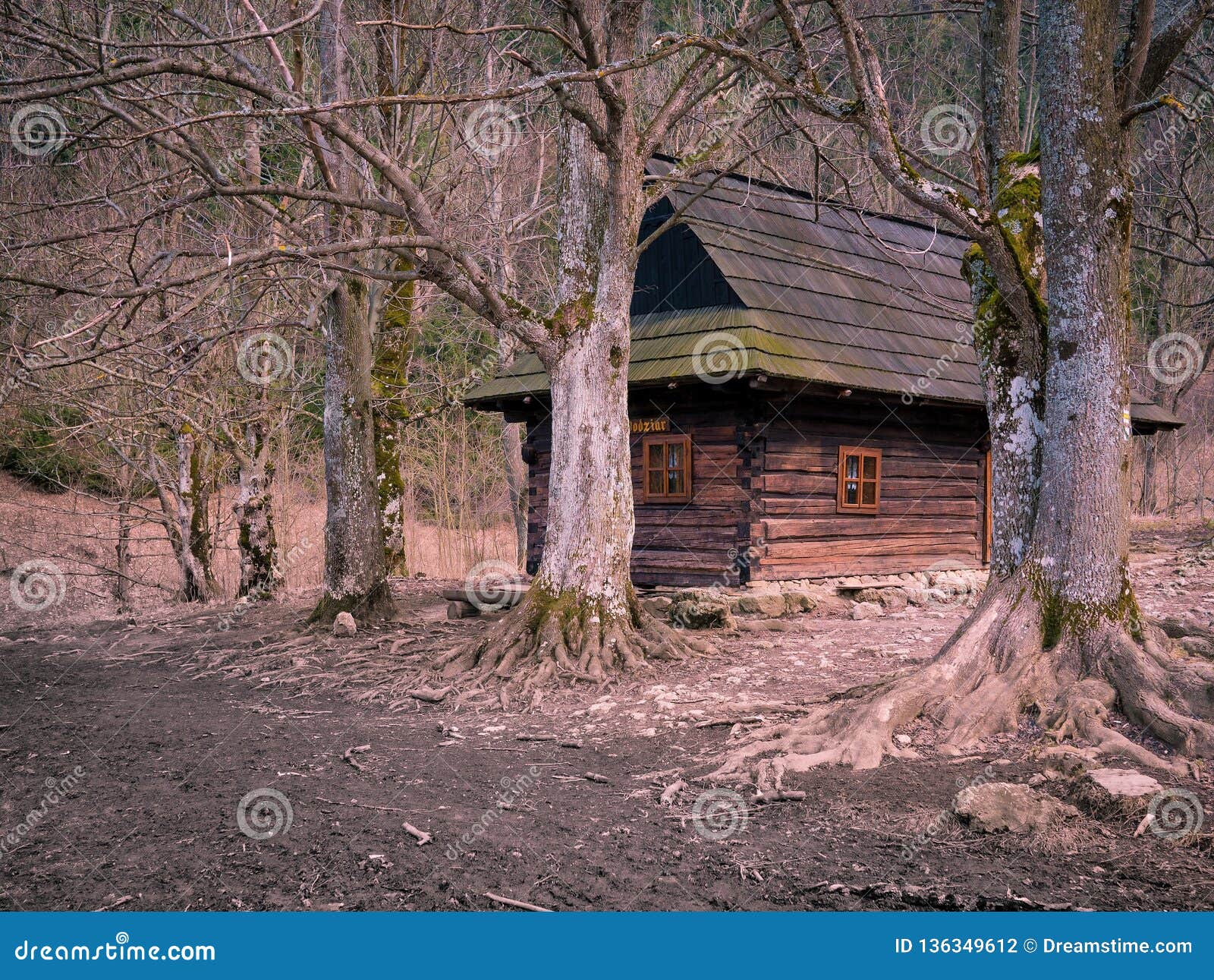 Mountain Hut with Beautiful Old Trees Stock Photo - Image of mountain ...