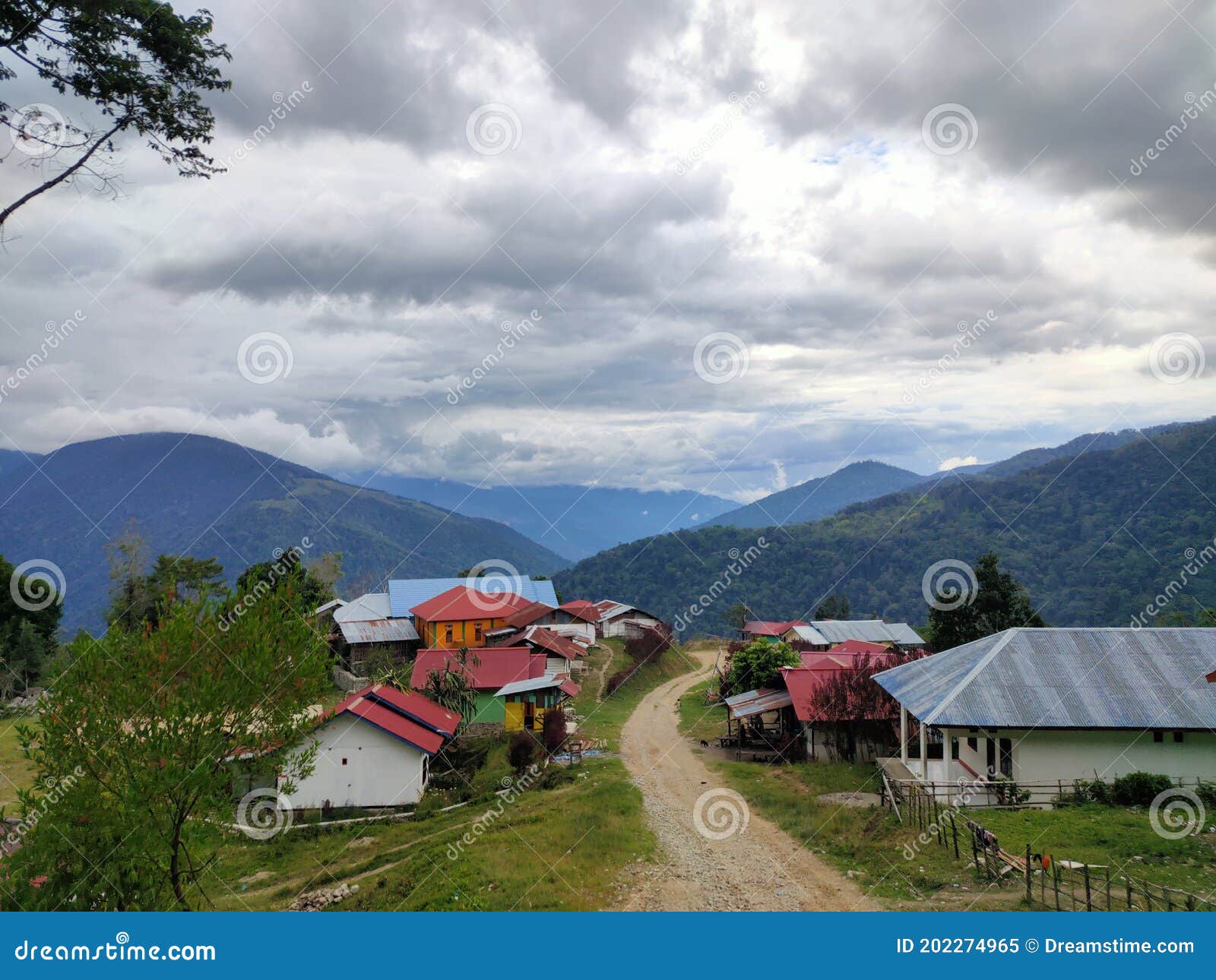 Mountain stock image. Image of alps, landscape, forest - 202274965