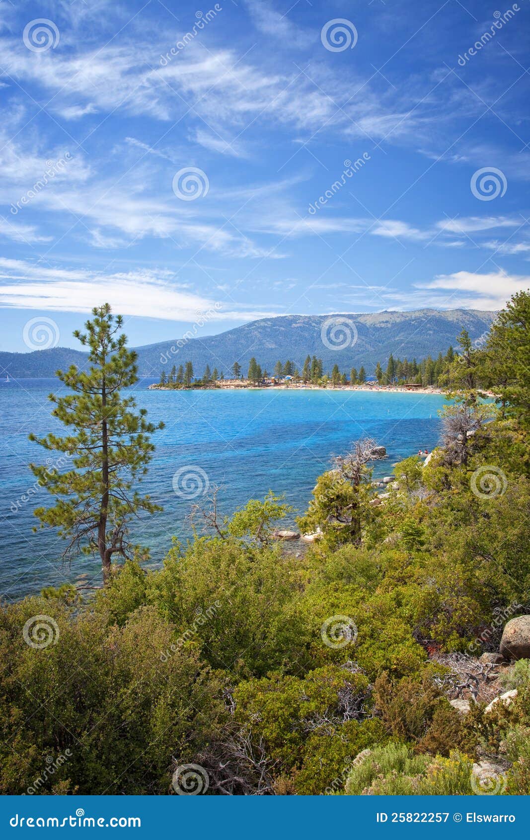 Mountain Lake stock image. Image of plant, pine, scene - 25822257