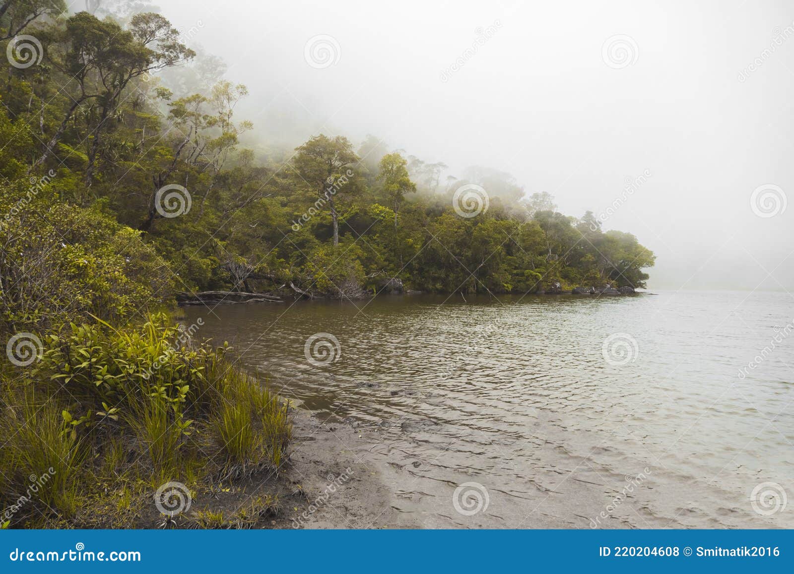 Mountain Lake Covered with Fog. Philippines Stock Photo - Image of ...