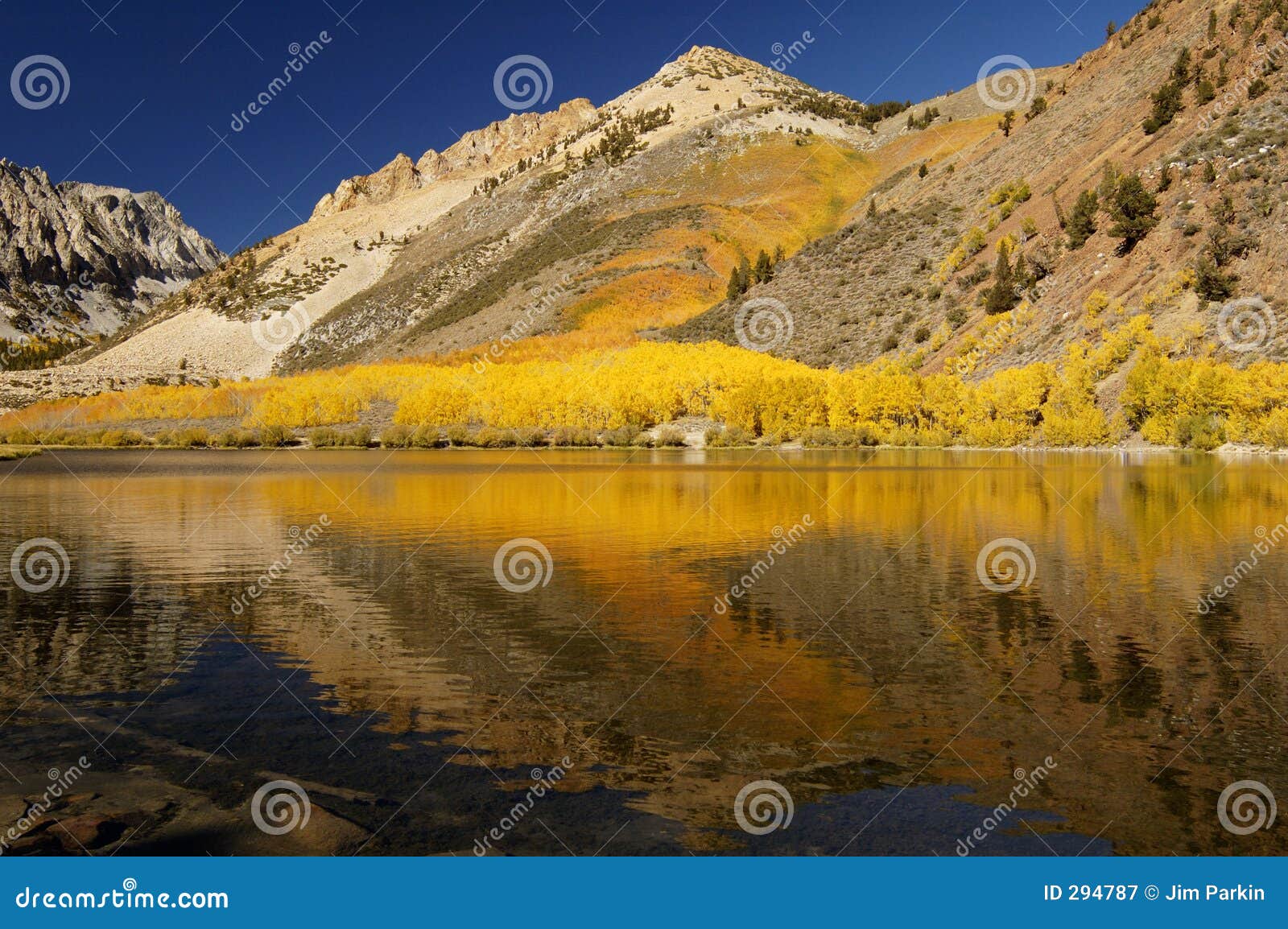 Mountain Lake, Fall Colors stock image. Image of trees - 294787