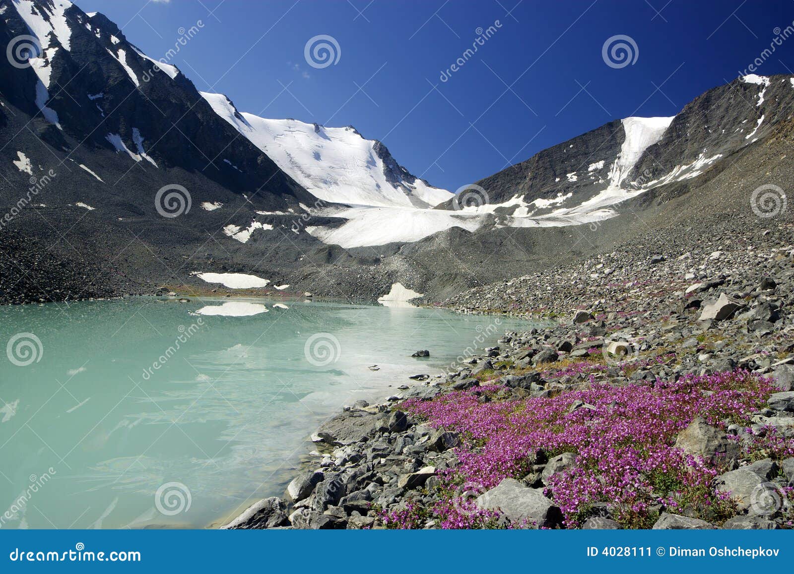 Mountain lake and flowers stock image. Image of reflections - 4028111