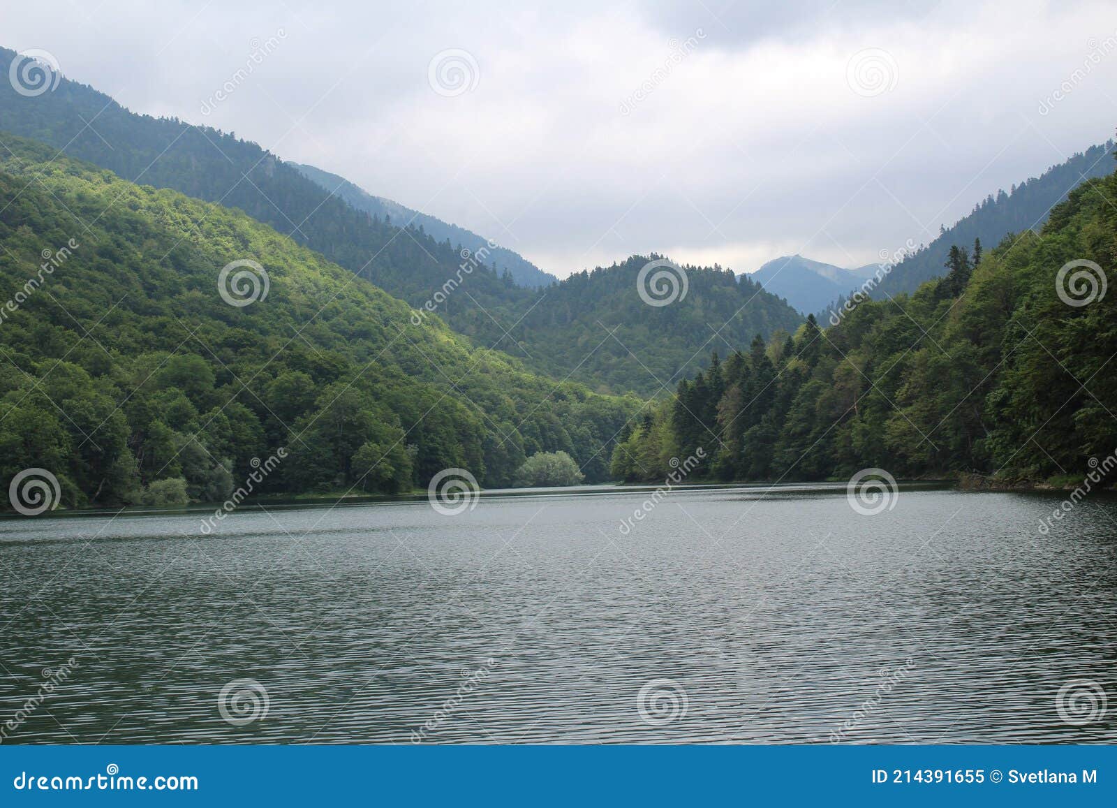 Mountain Lake in the Forests Montenegro Stock Image - Image of ...