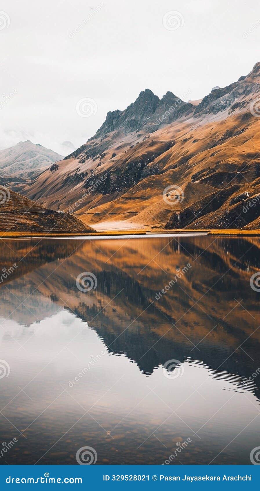 Earthy Landscape: Harmonious Color Fields And Detailed Illustrations ...