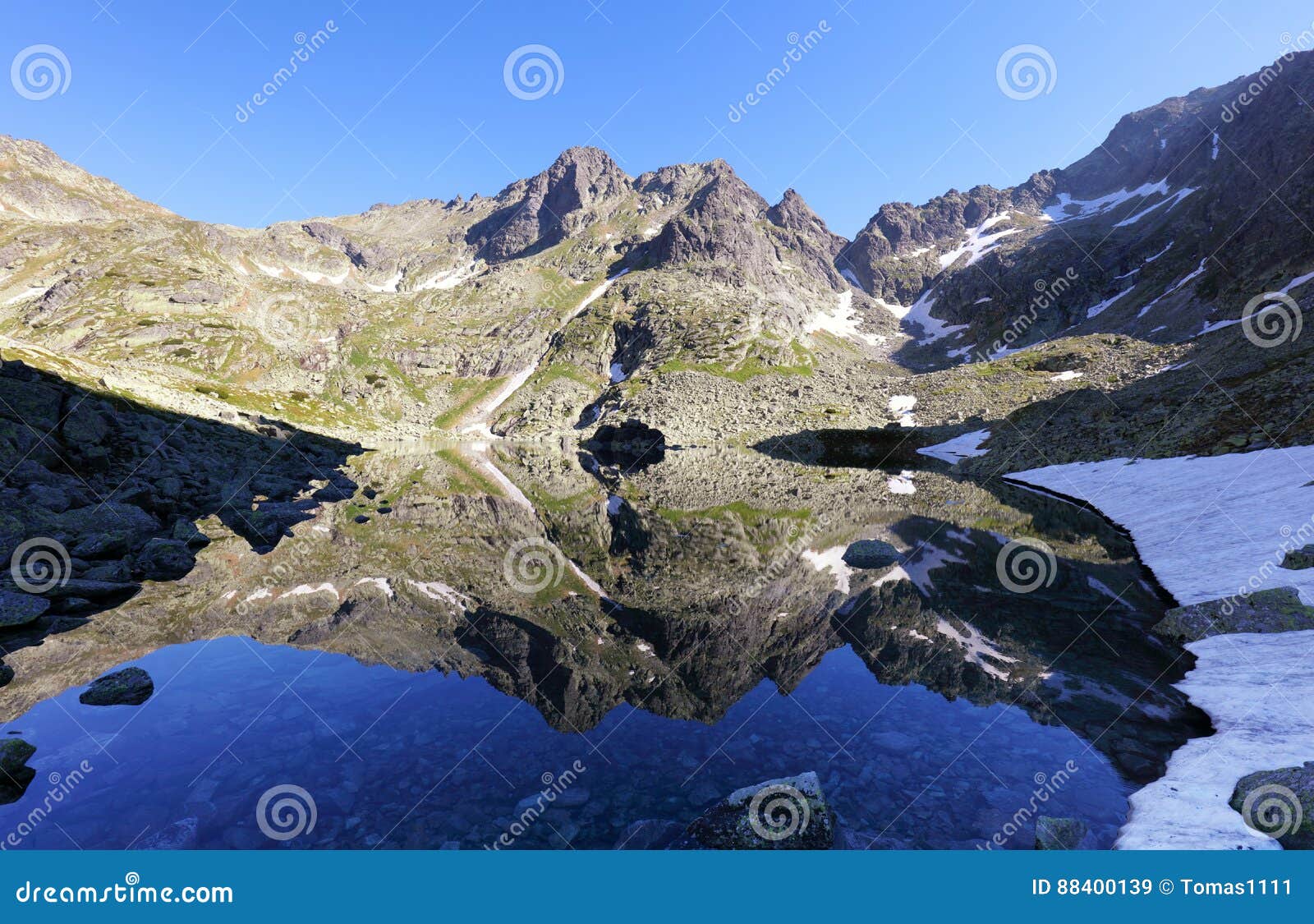 Plesa Stock Photography | CartoonDealer.com #43419176