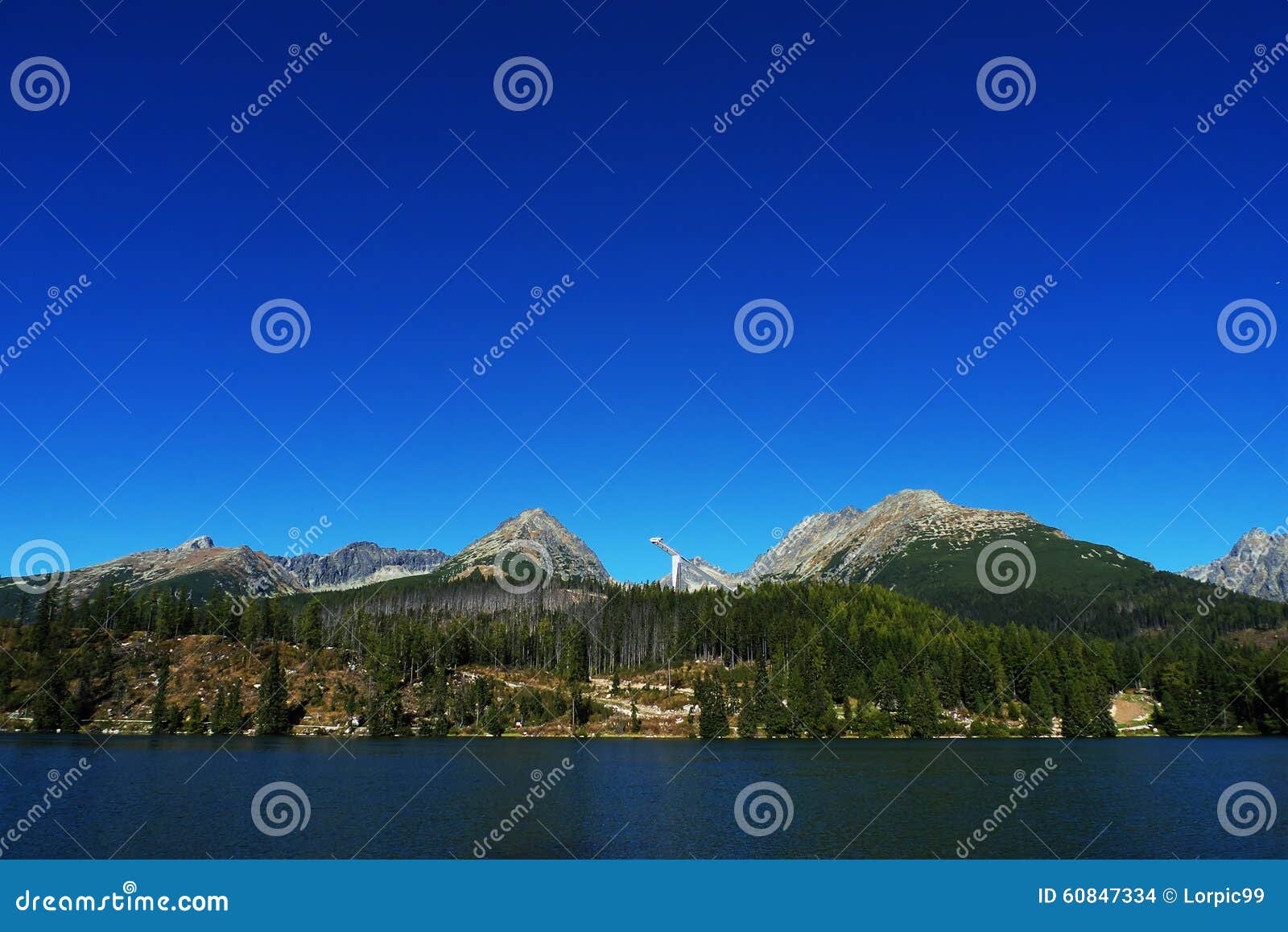 Mountain Lake stock photo. Image of strba, flowers, europe - 60847334