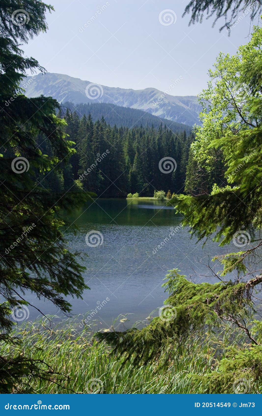 Mountain Lake in the Summer Stock Image - Image of nature, hiking: 20514549