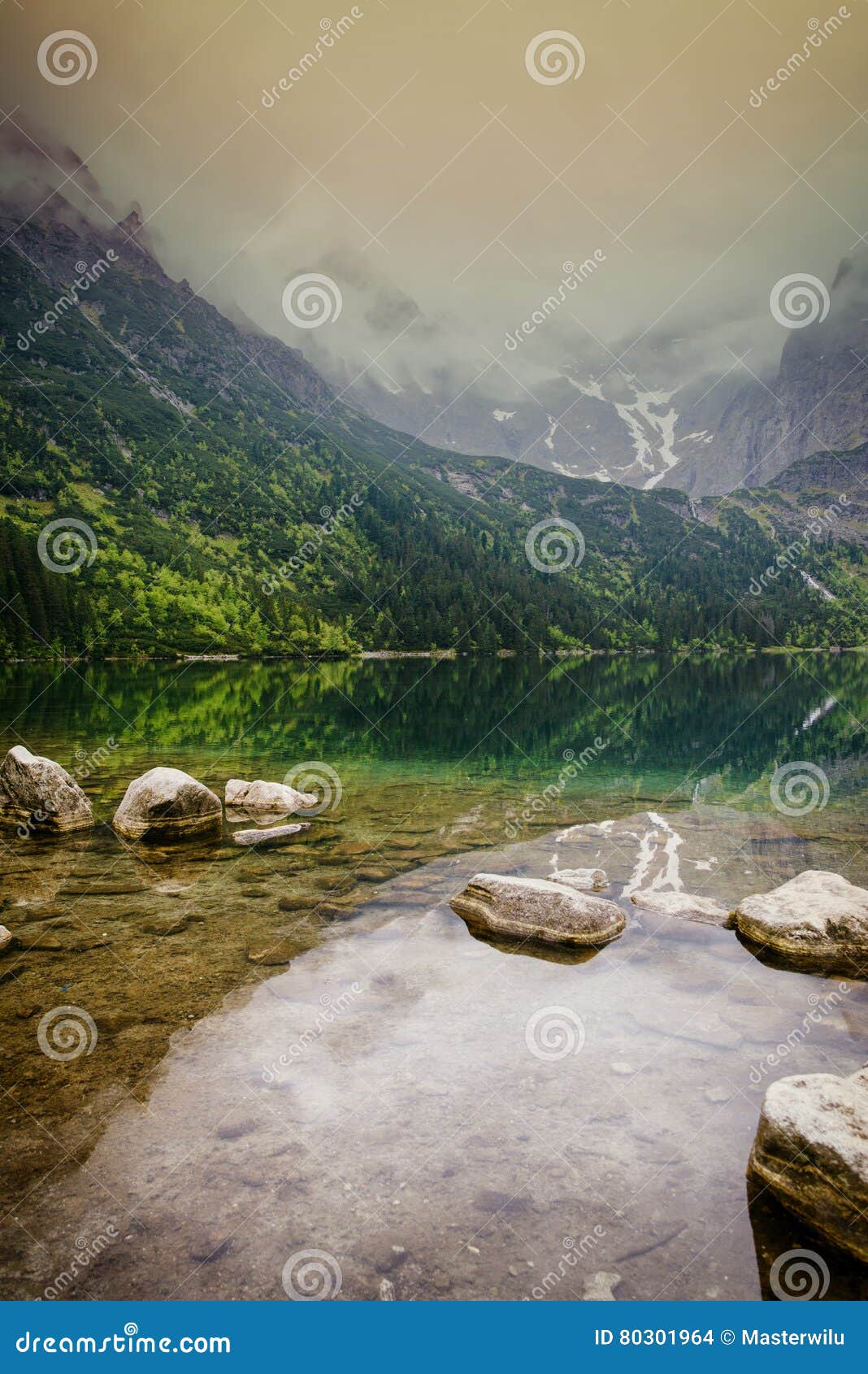 Mountain lake in summer stock photo. Image of travel - 80301964