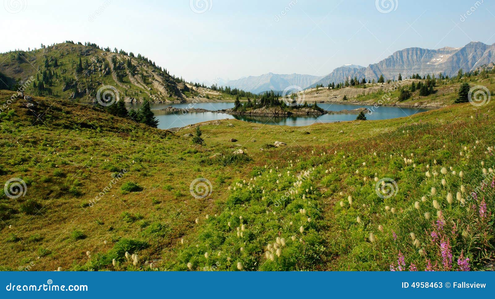 Mountain Lake in Sunshine Meadows Stock Image - Image of mountains ...