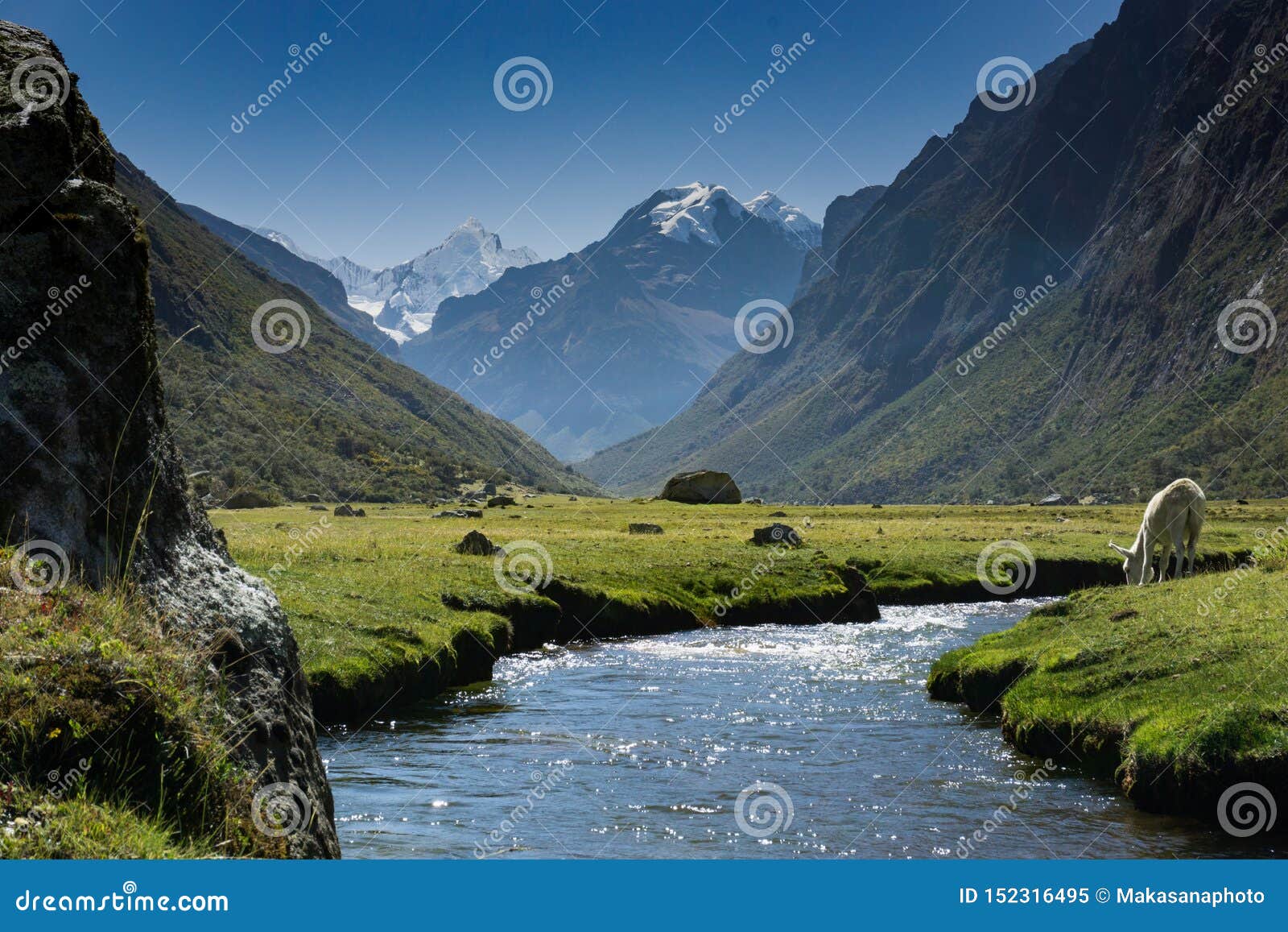 Mountain Landscape in the Andes of Peru with a White Horse Drinking ...