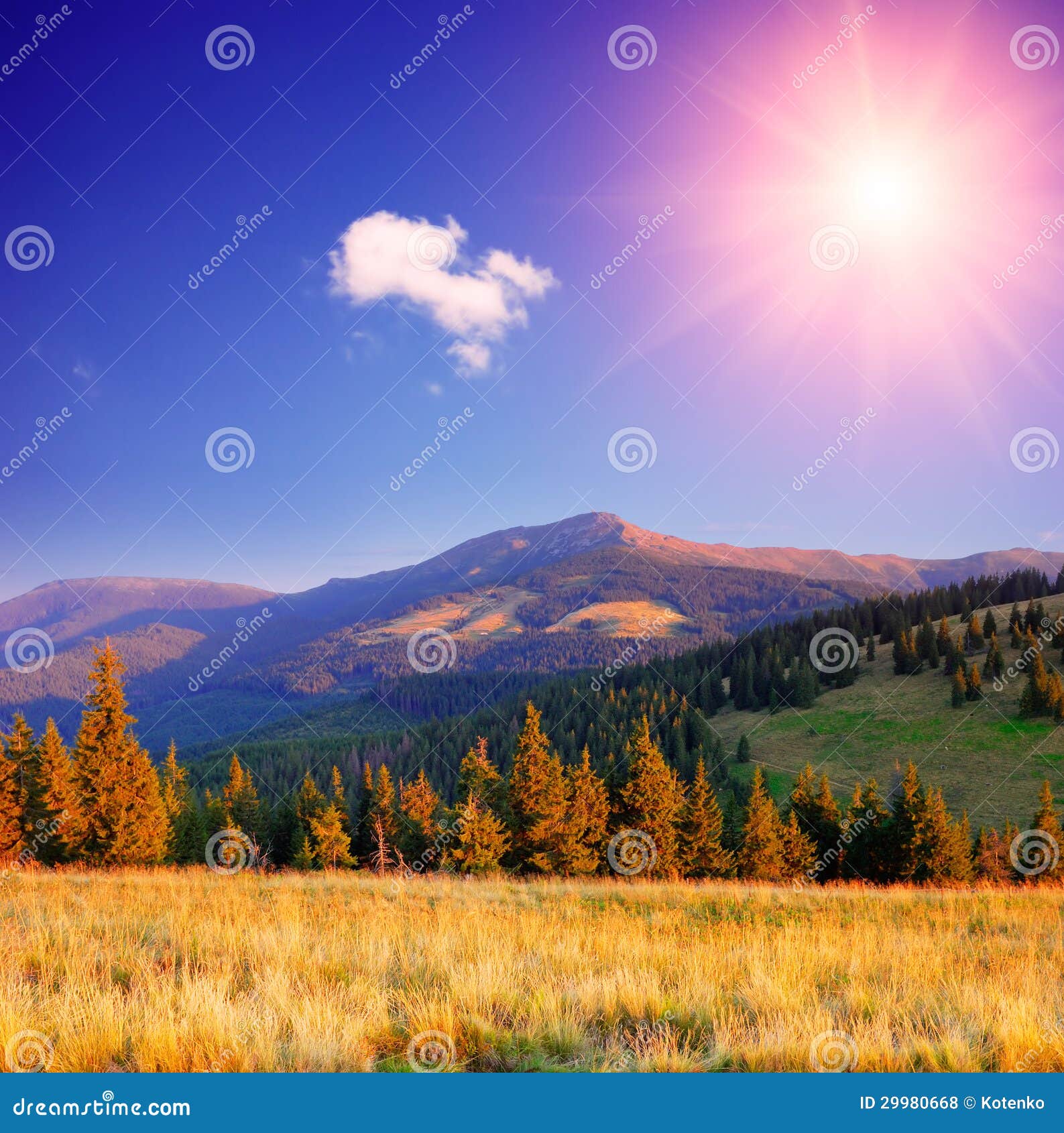 Landscape with the Bright Sun Stock Photo - Image of season, sunlight ...