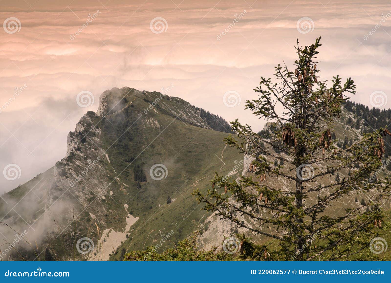 Mountain Landscape in Chartreuse Stock Image - Image of forest, cloud ...