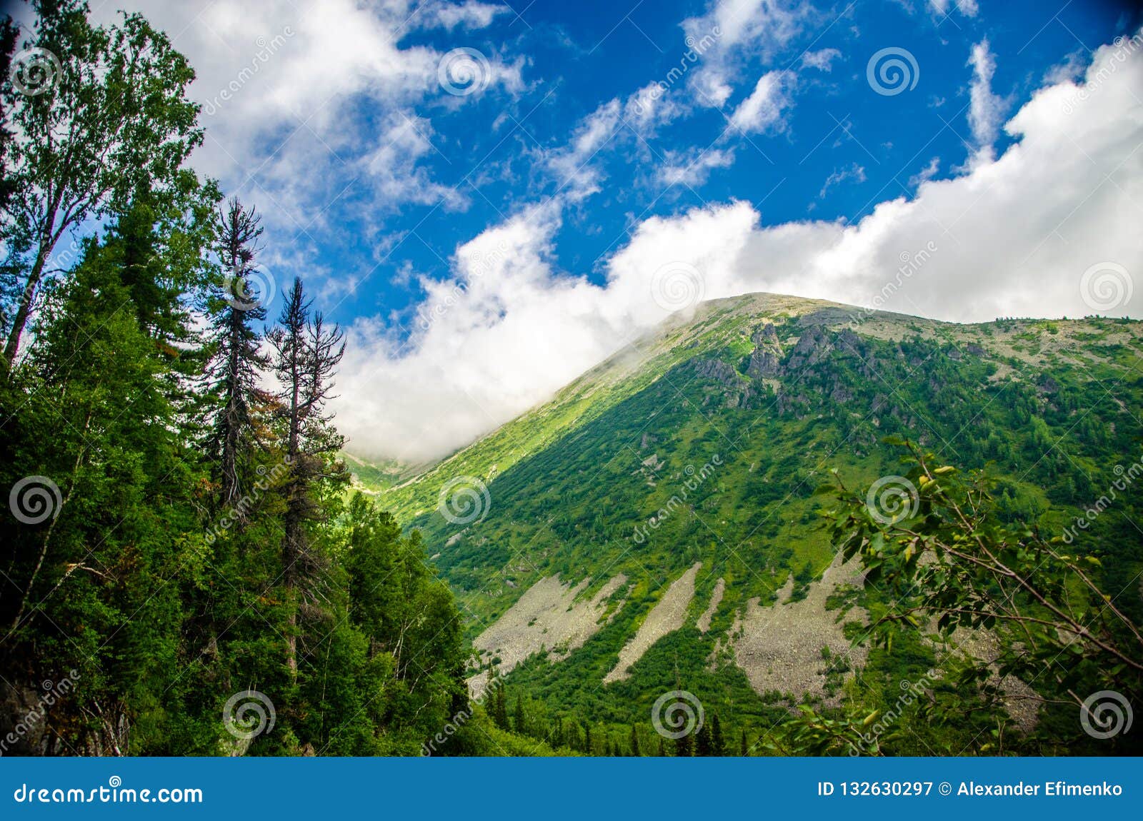Mountain Landscape. Deciduous Forest. Cloud on Top. Morning Light Stock ...