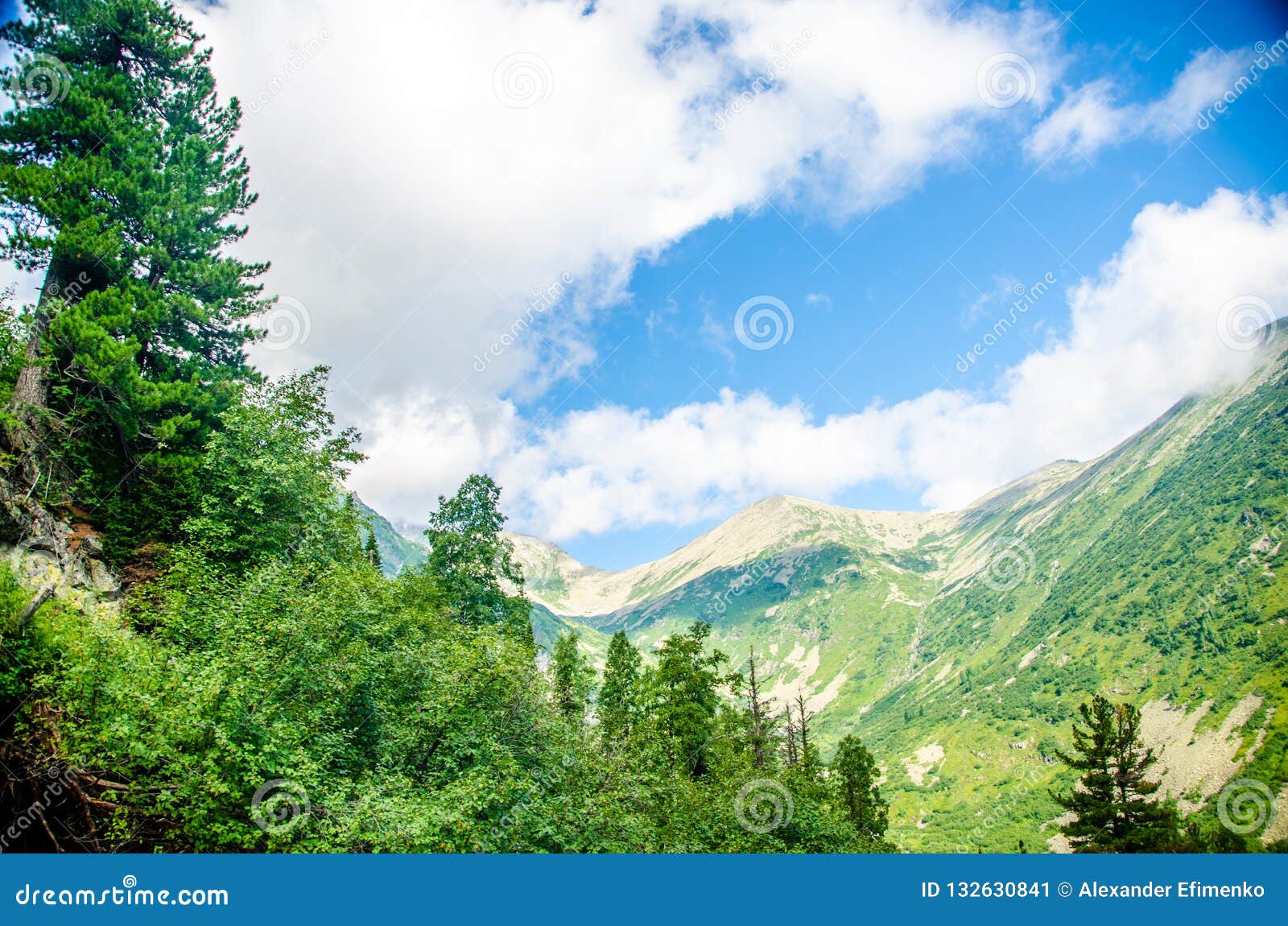 Mountain Landscape. Deciduous Forest. Cloud on Top. Morning Light Stock ...