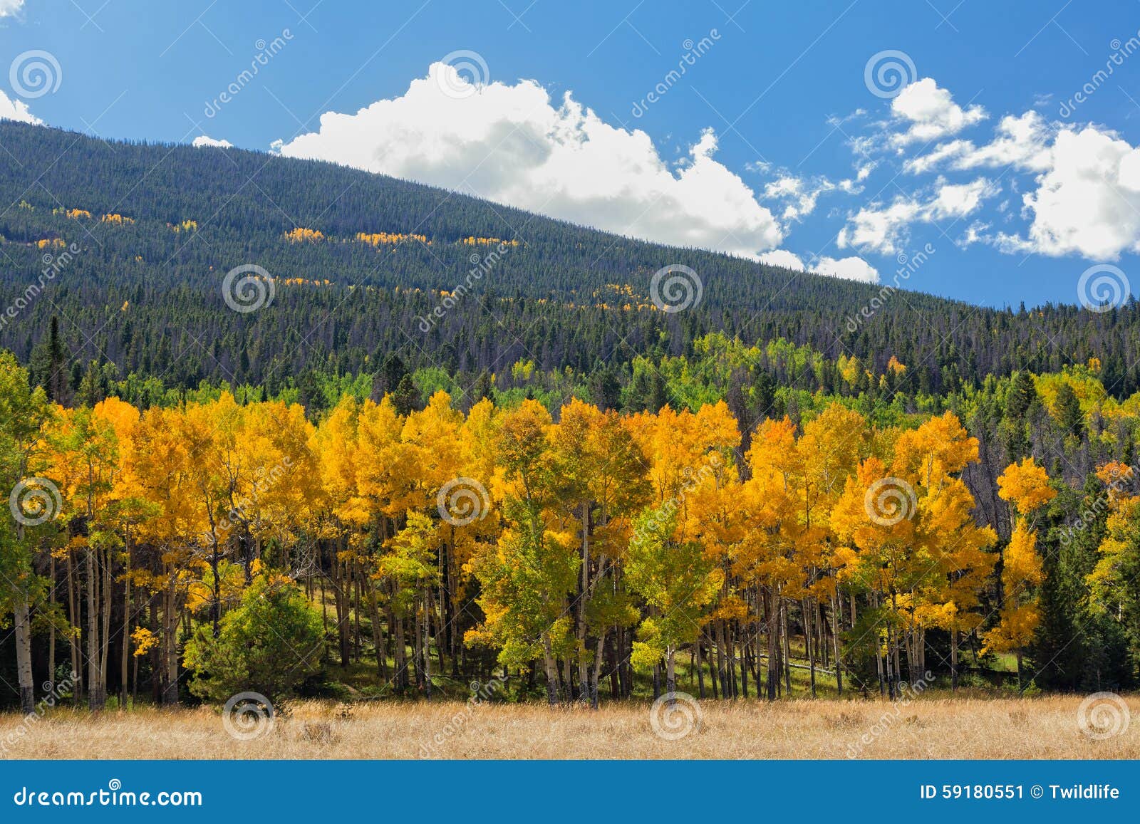 Mountain Landscape in Fall stock image. Image of colorado - 59180551