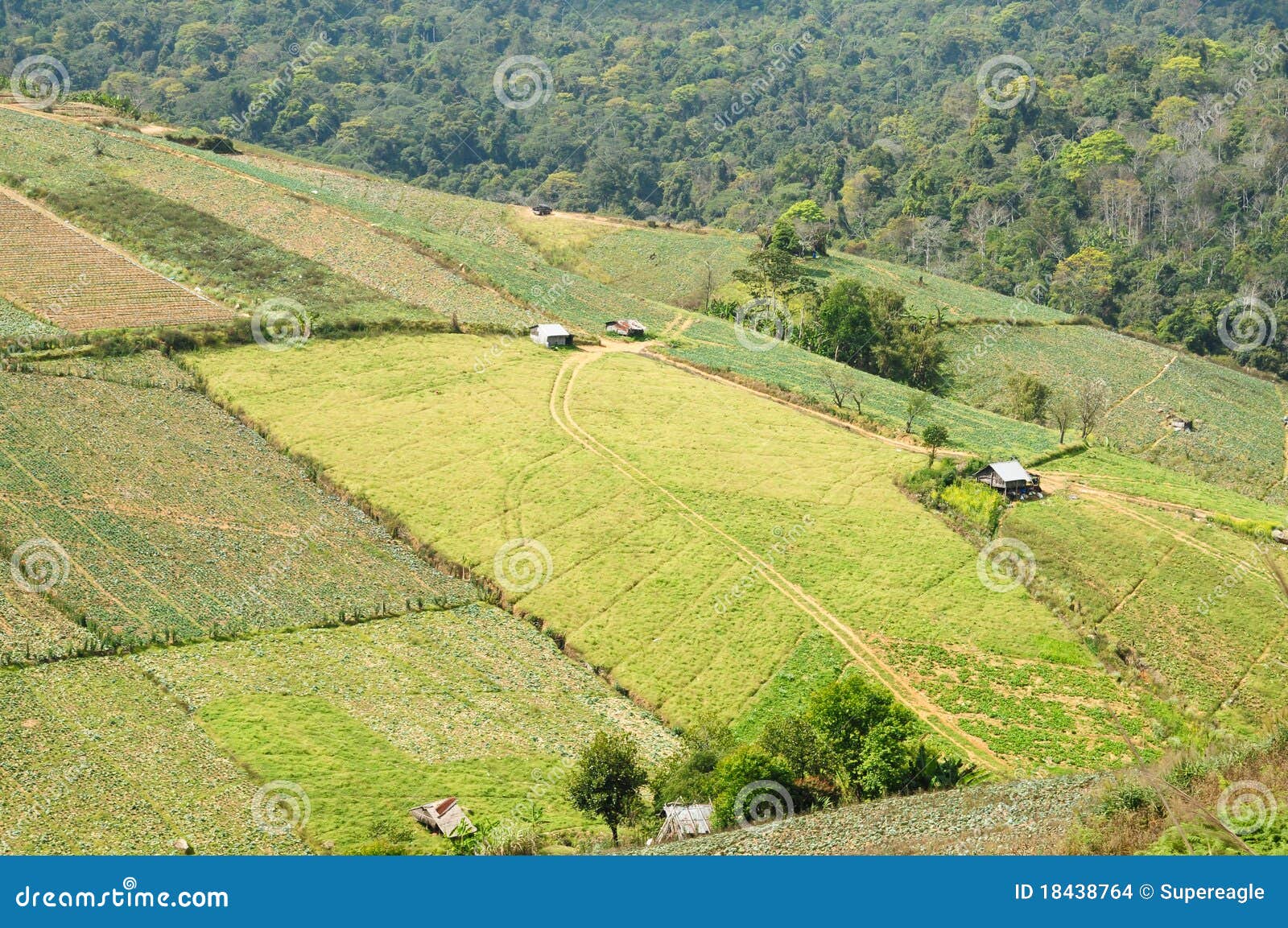 Mountain Landscape and Farm Stock Photo - Image of knowledge, green ...