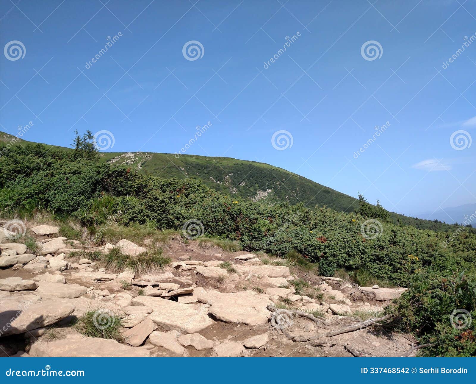 Mountain Landscape and Forest Horizontal Color Photo Stock Photo ...