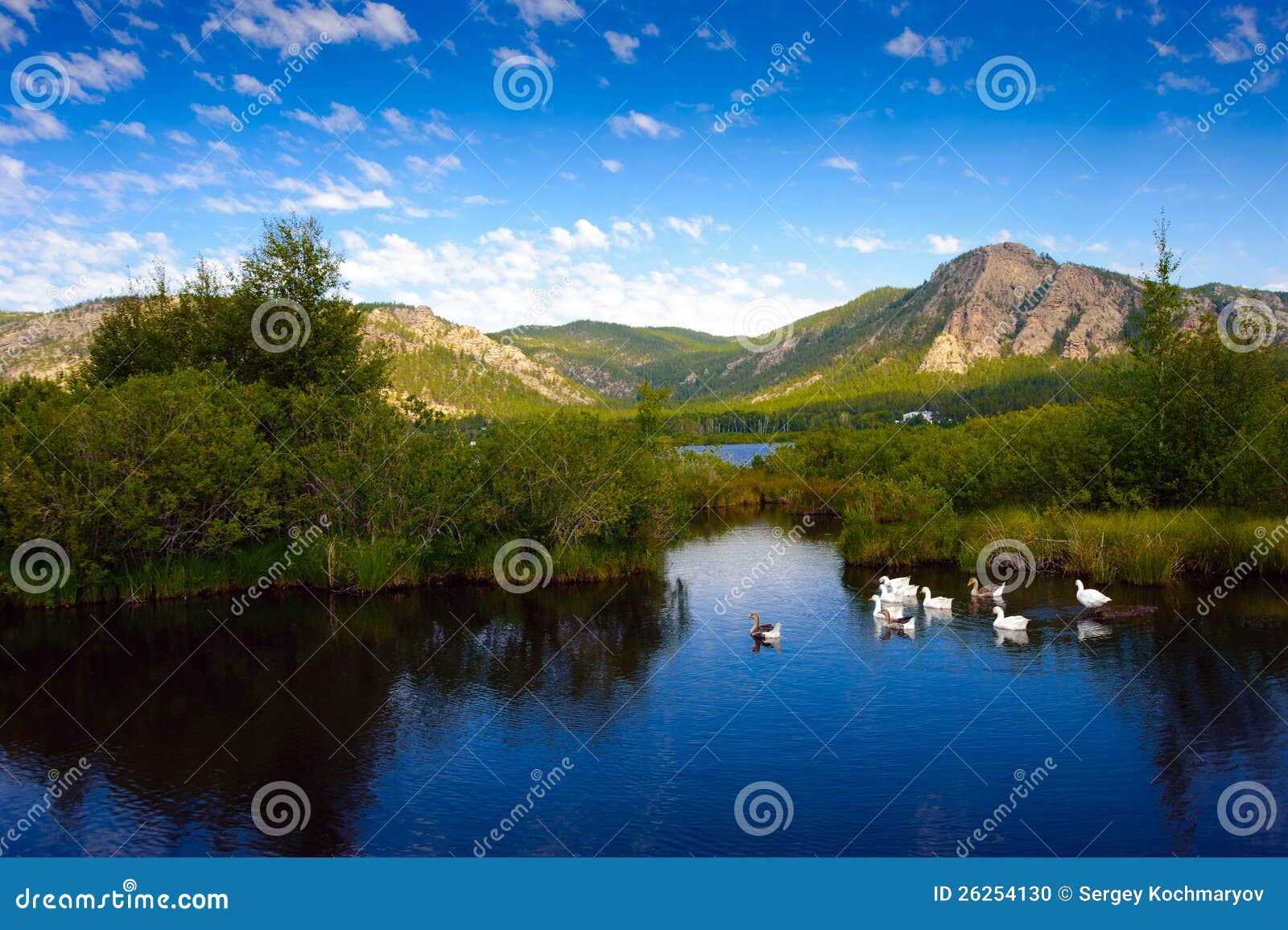 Mountain Landscape With Geese Stock Photo - Image of spring, wave: 26254130