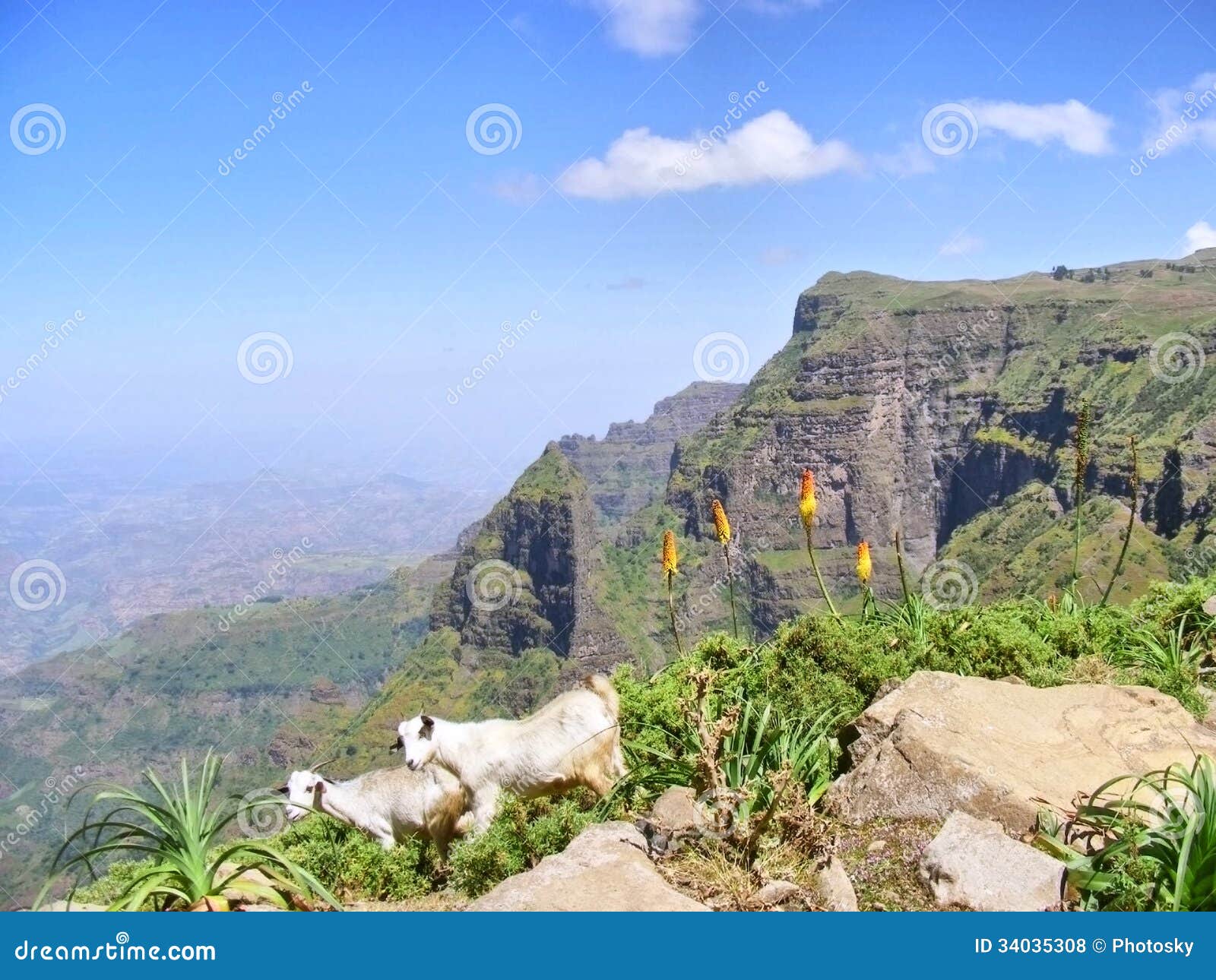 Mountain Landscape with Goats Stock Photo - Image of concept, idea ...