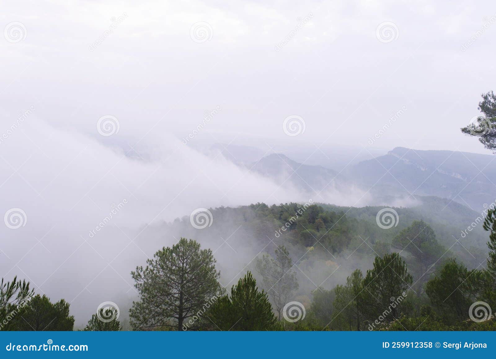 Mountain Landscape with Mist Covering Everything Stock Photo - Image of ...