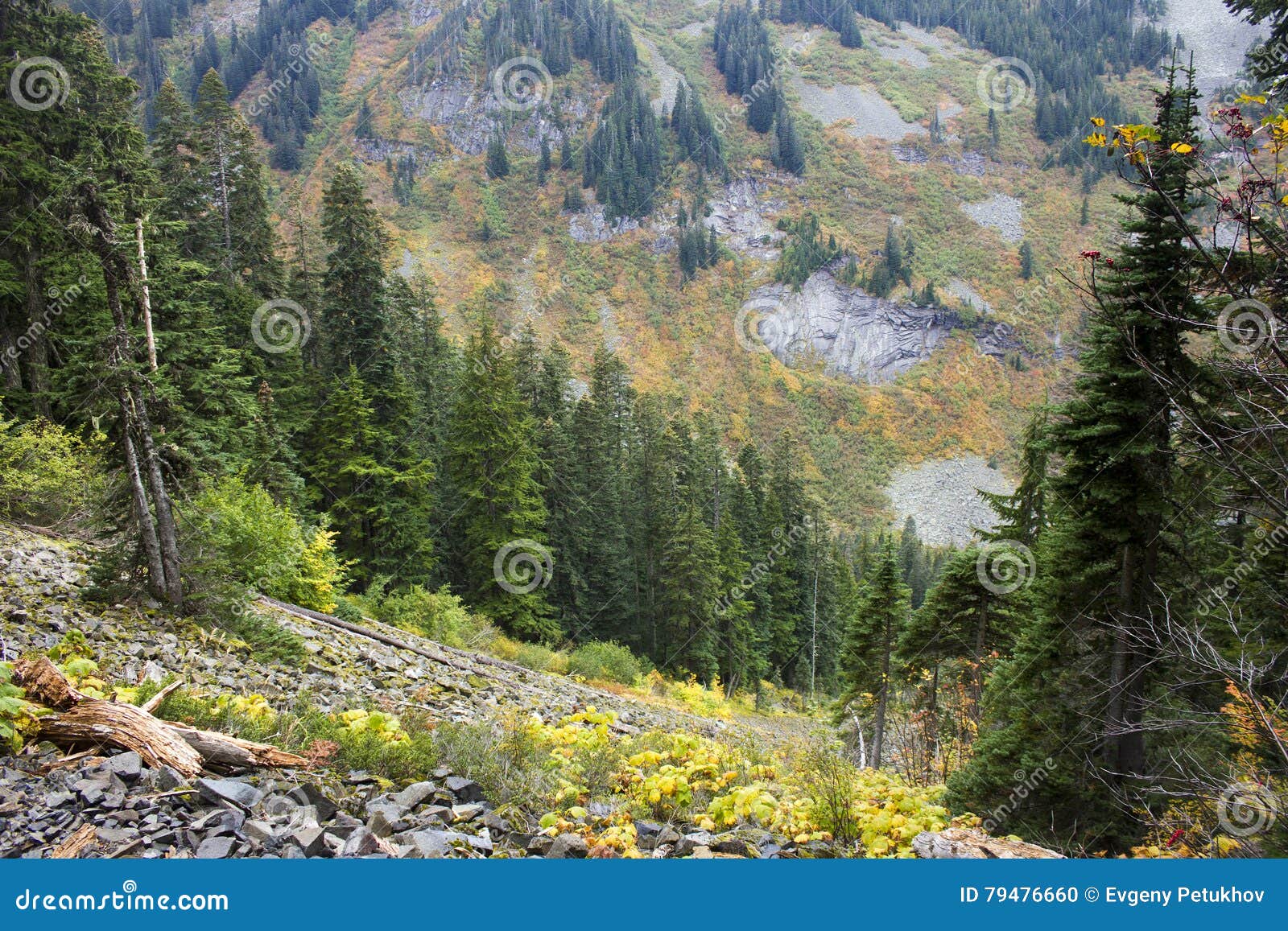 Mountain landscape stock photo. Image of seattle, mountain - 79476660
