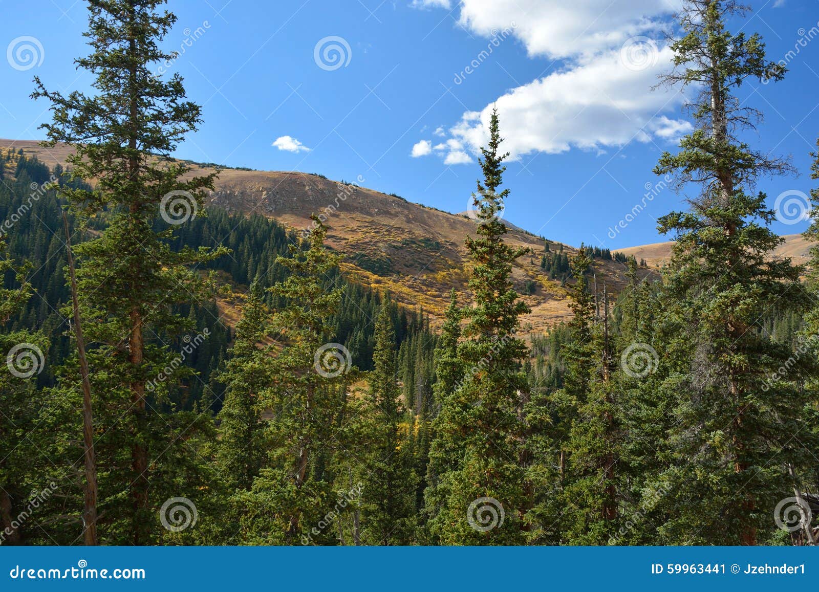 Mountain Landscape with Pine Trees Stock Image - Image of outdoors ...