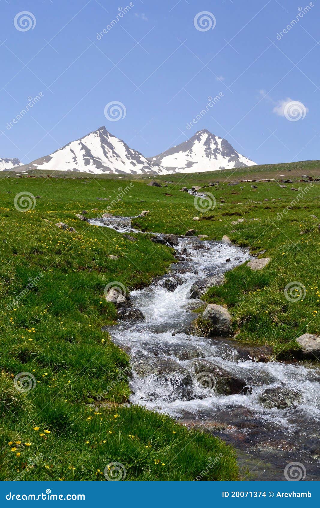 Mountain Landscape with River Stock Photo - Image of flower, aragac ...