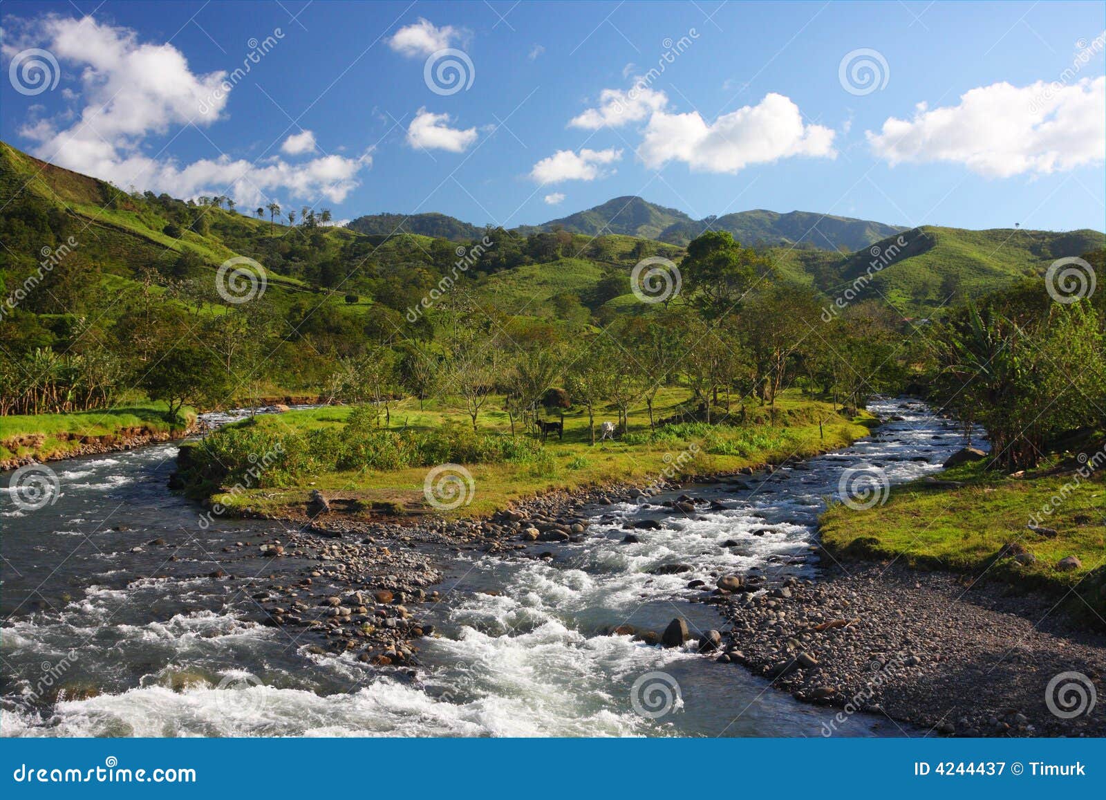 Mountain Landscape with a River Stock Image - Image of nature, rica ...