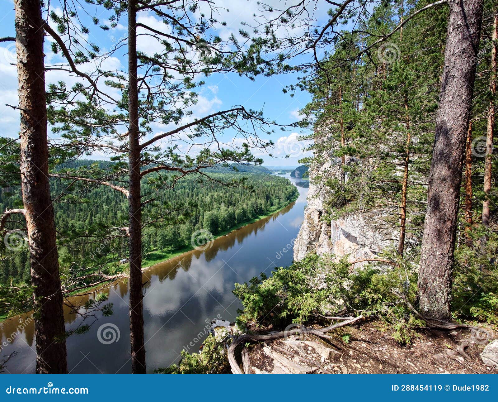Beautiful Summer Landscape with River and Forest. View from the Cliff ...