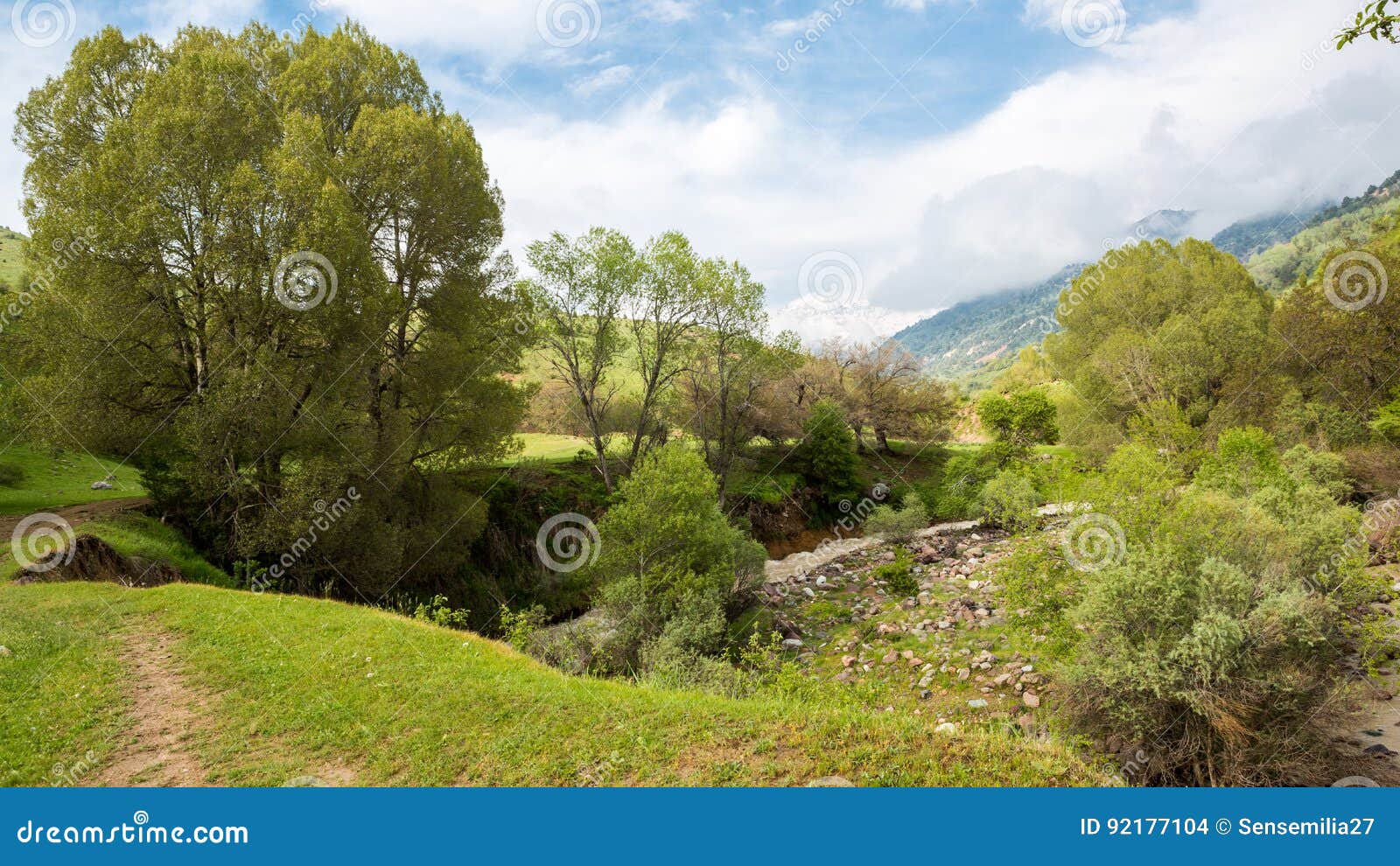 Mountain Landscape with a River Stock Photo - Image of beauty, summer ...