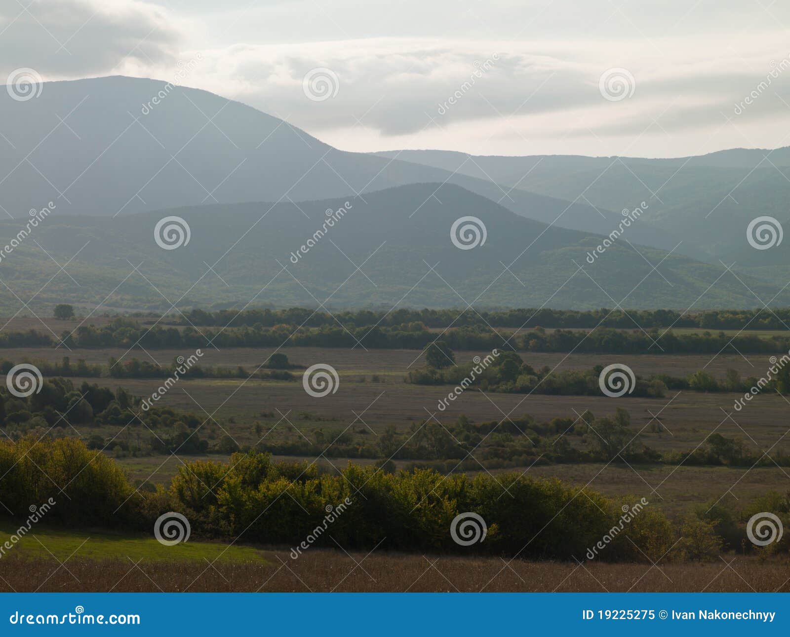Mountain Landscape With Shrubs In The Foreground Stock Image - Image of ...