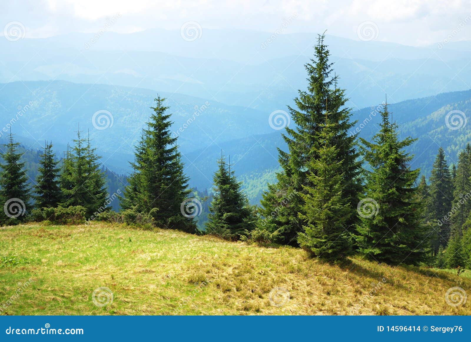 Mountain Landscape with Trees Stock Photo - Image of land, highlands ...