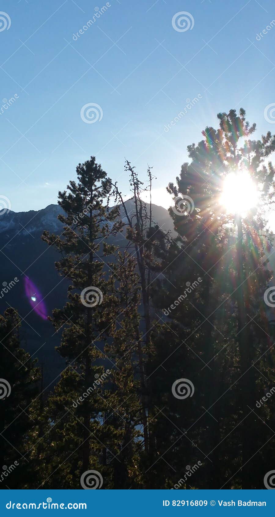 Mountain Life stock image. Image of life, views, rocky - 82916809