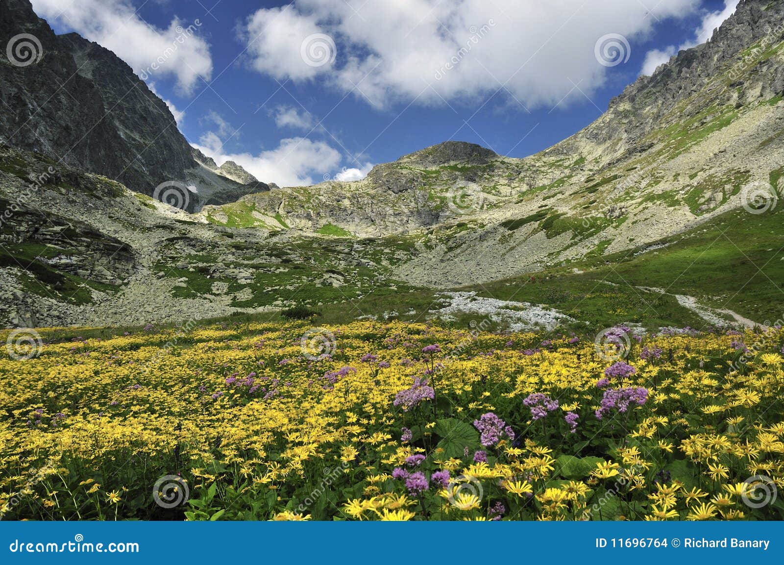 Kvetnica, Velicka dolina stock photo. Image of slovakia - 11696764