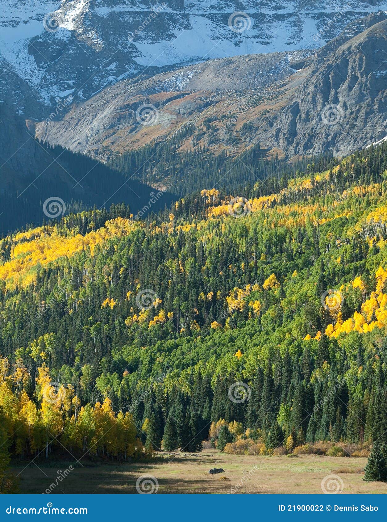 Mountain meadow stock photo. Image of national, scenic - 21900022